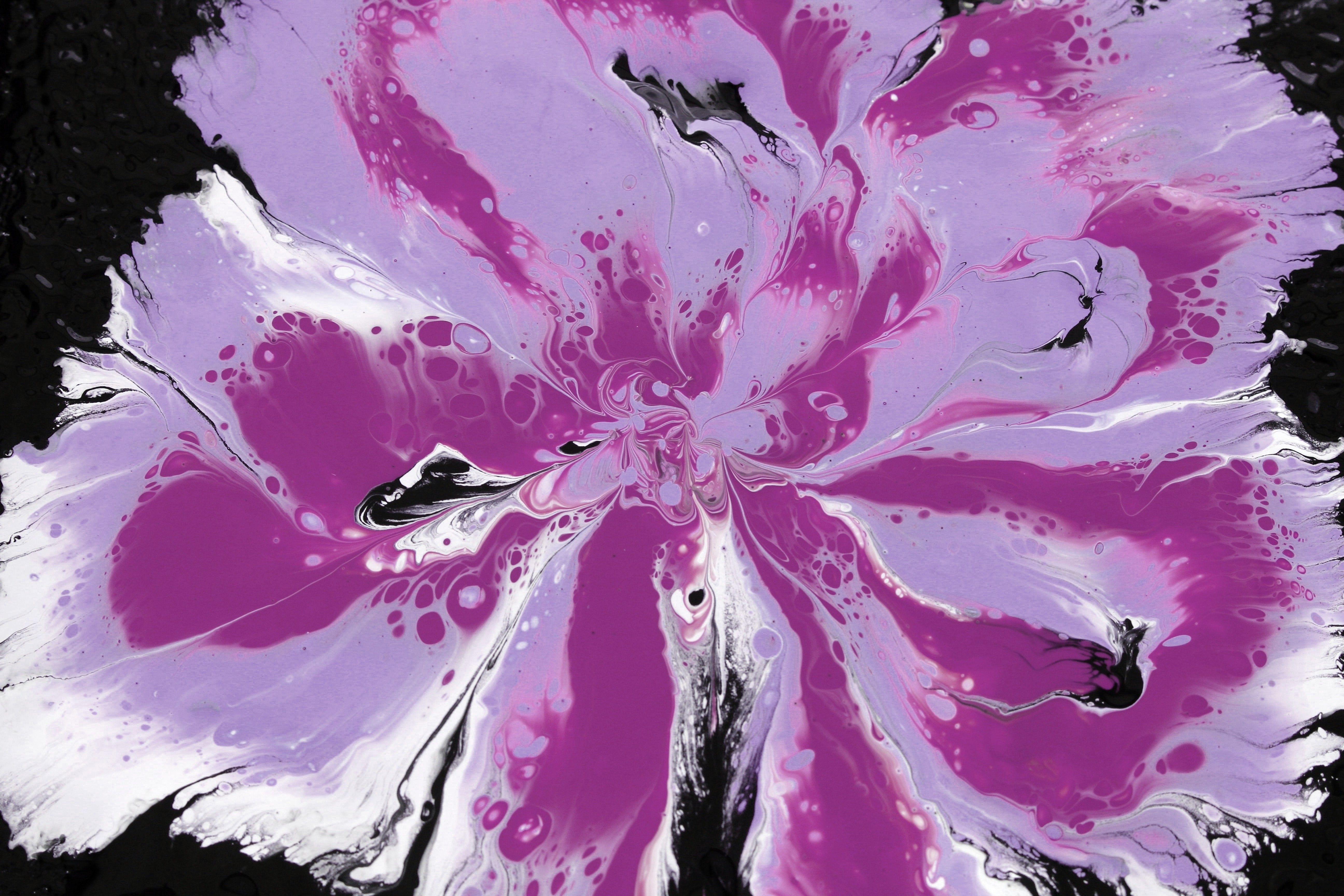 Vibrant Abstract Paint Splash Art Design · Free Stock Photo