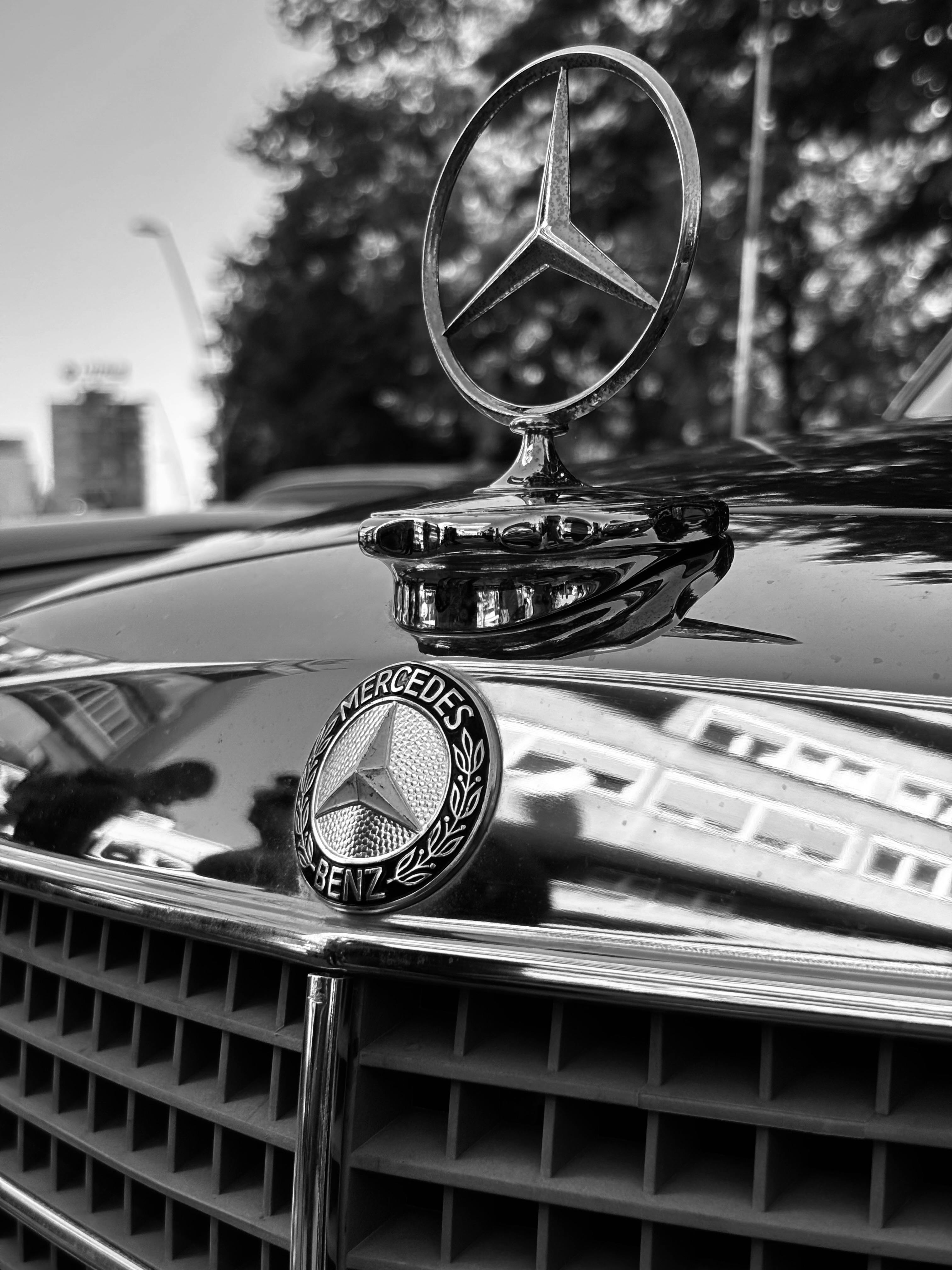 Jnv Logo Photos, Download The BEST Free Jnv Logo Stock Photos & HD Images