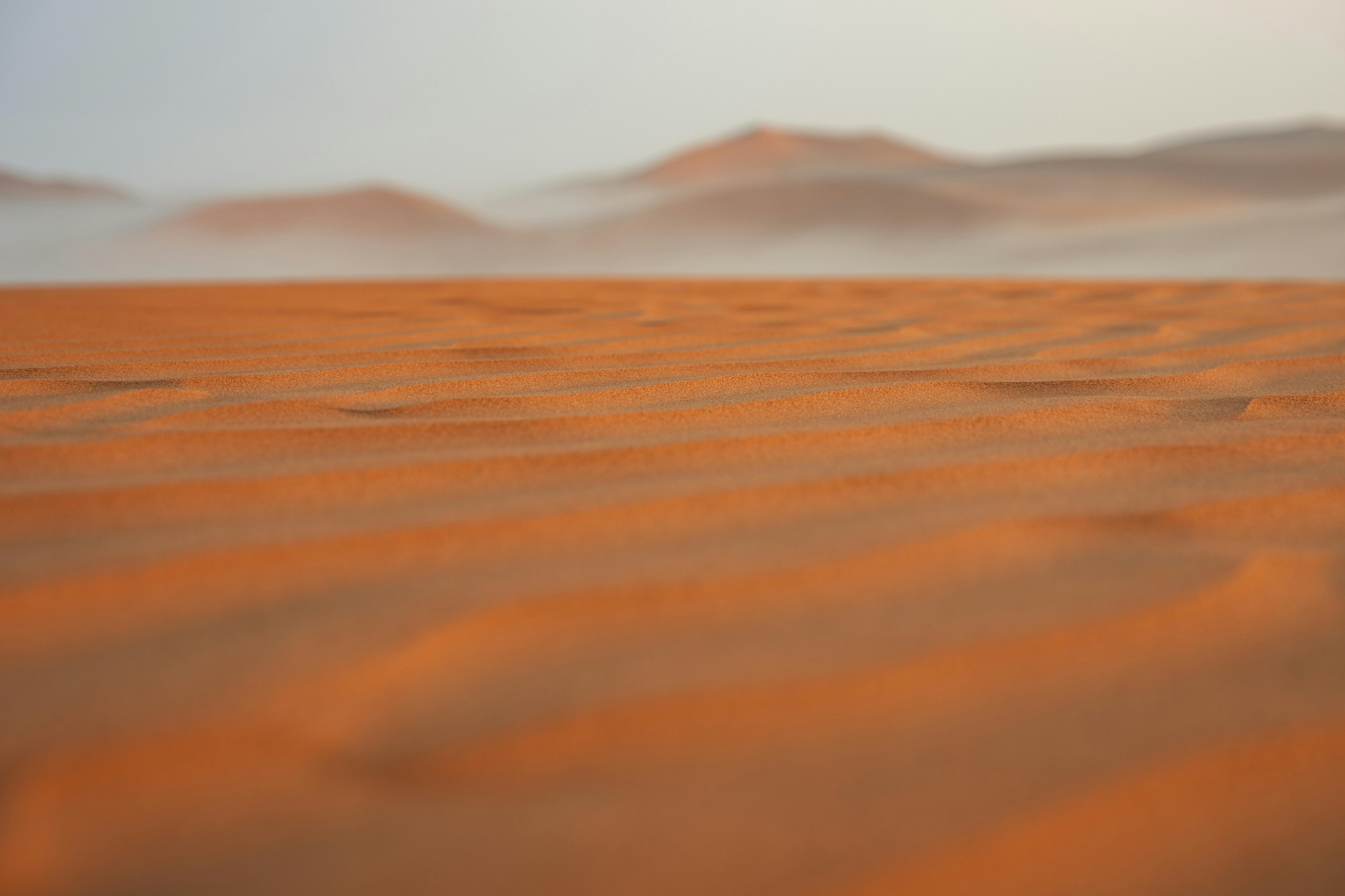 Serene Sand Dunes in the Desert at Dusk · Free Stock Photo