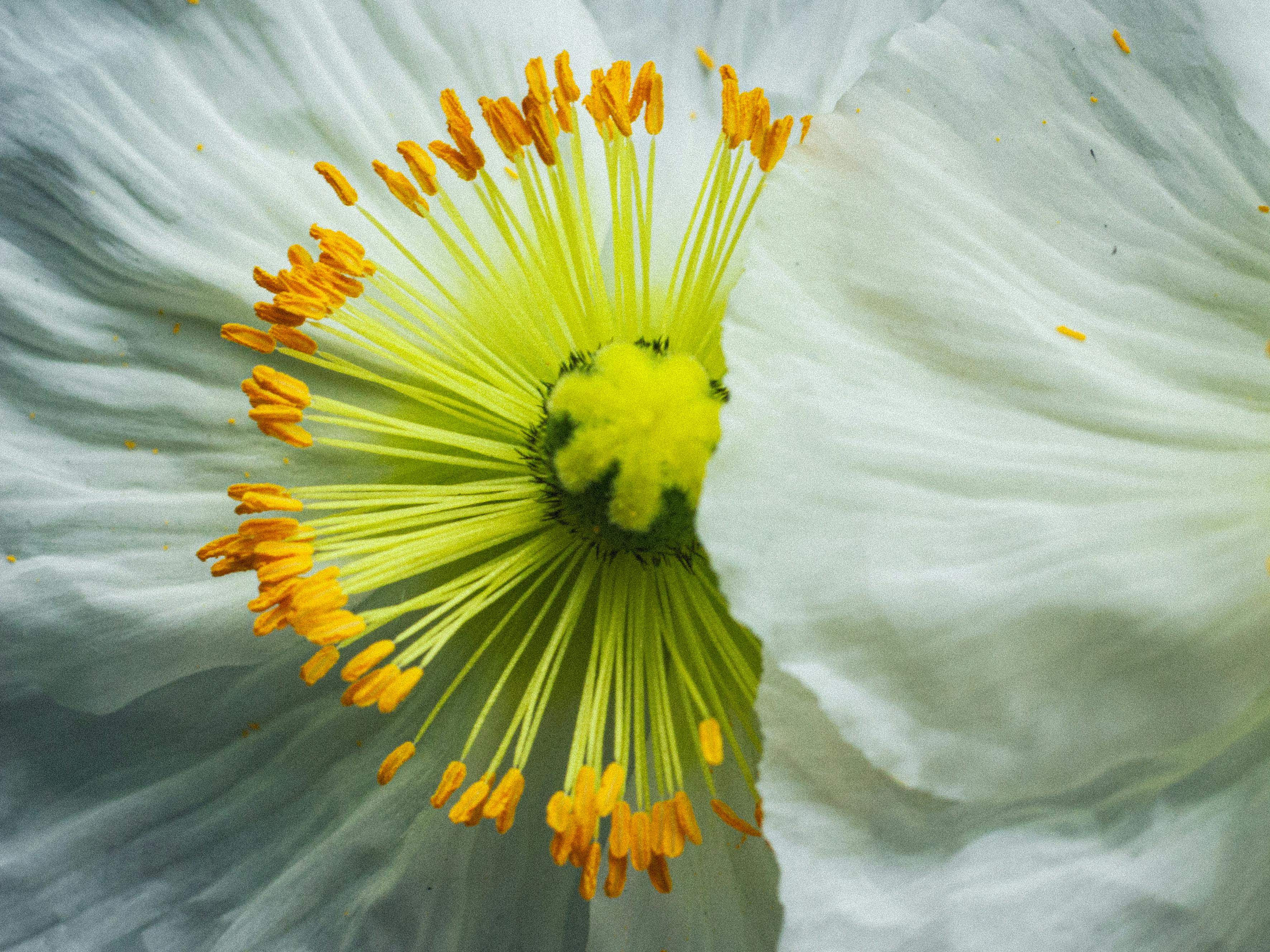 Details White Photos, Download The BEST Free Details White Stock Photos ...