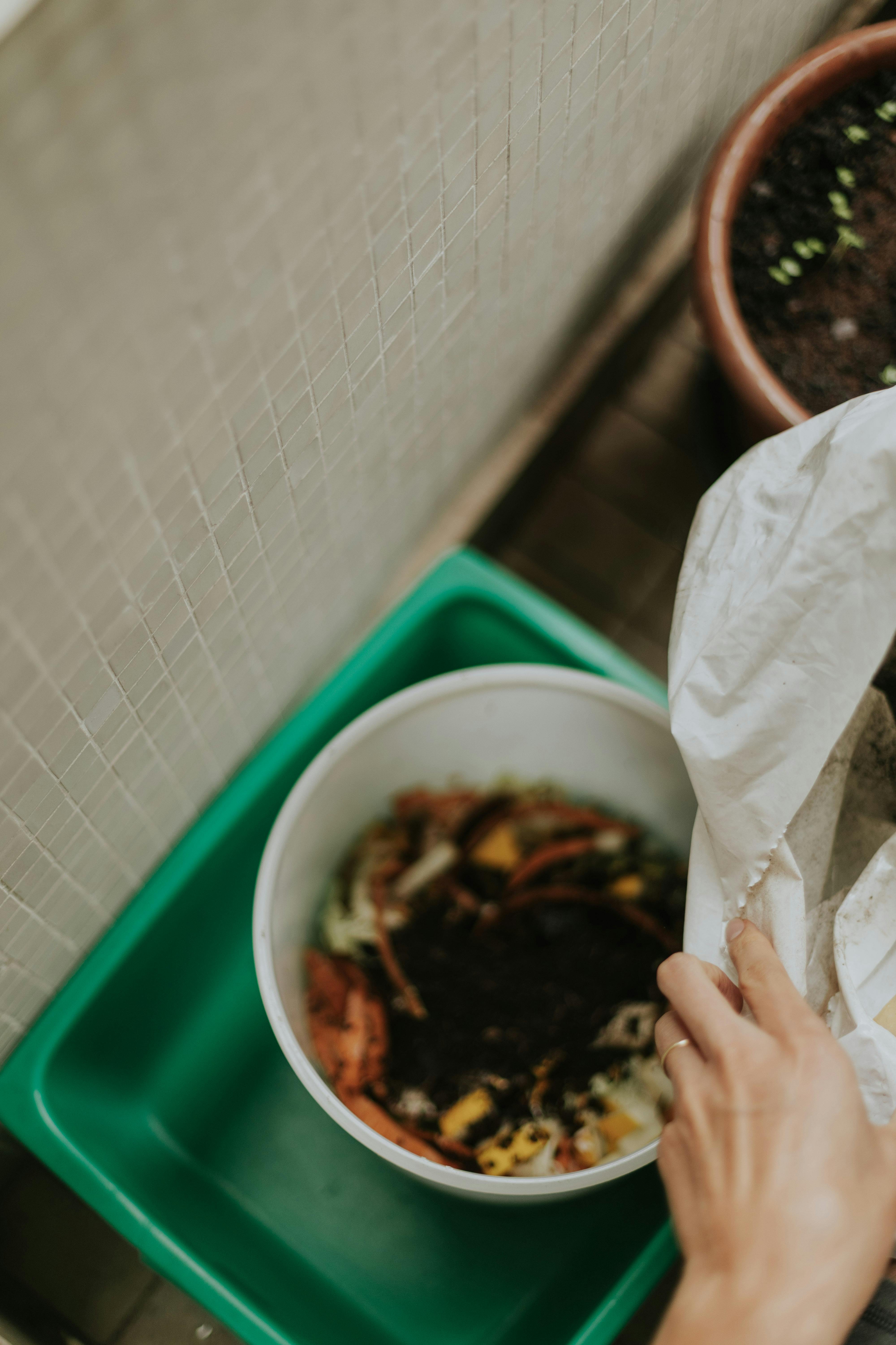 Eco-Friendly Home Composting in Action · Free Stock Photo