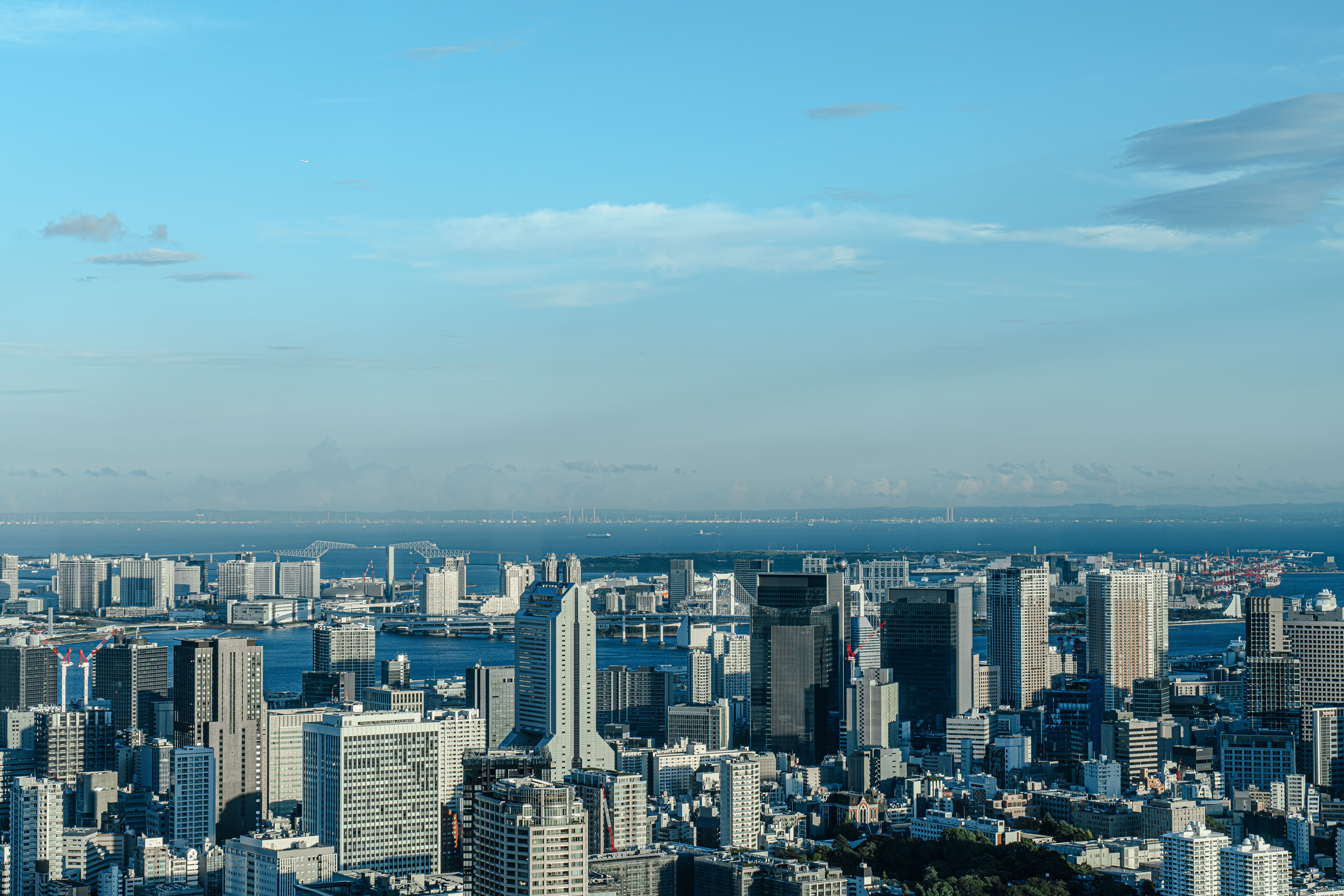Aerial Urban View of Tokyo Skyline · Free Stock Photo