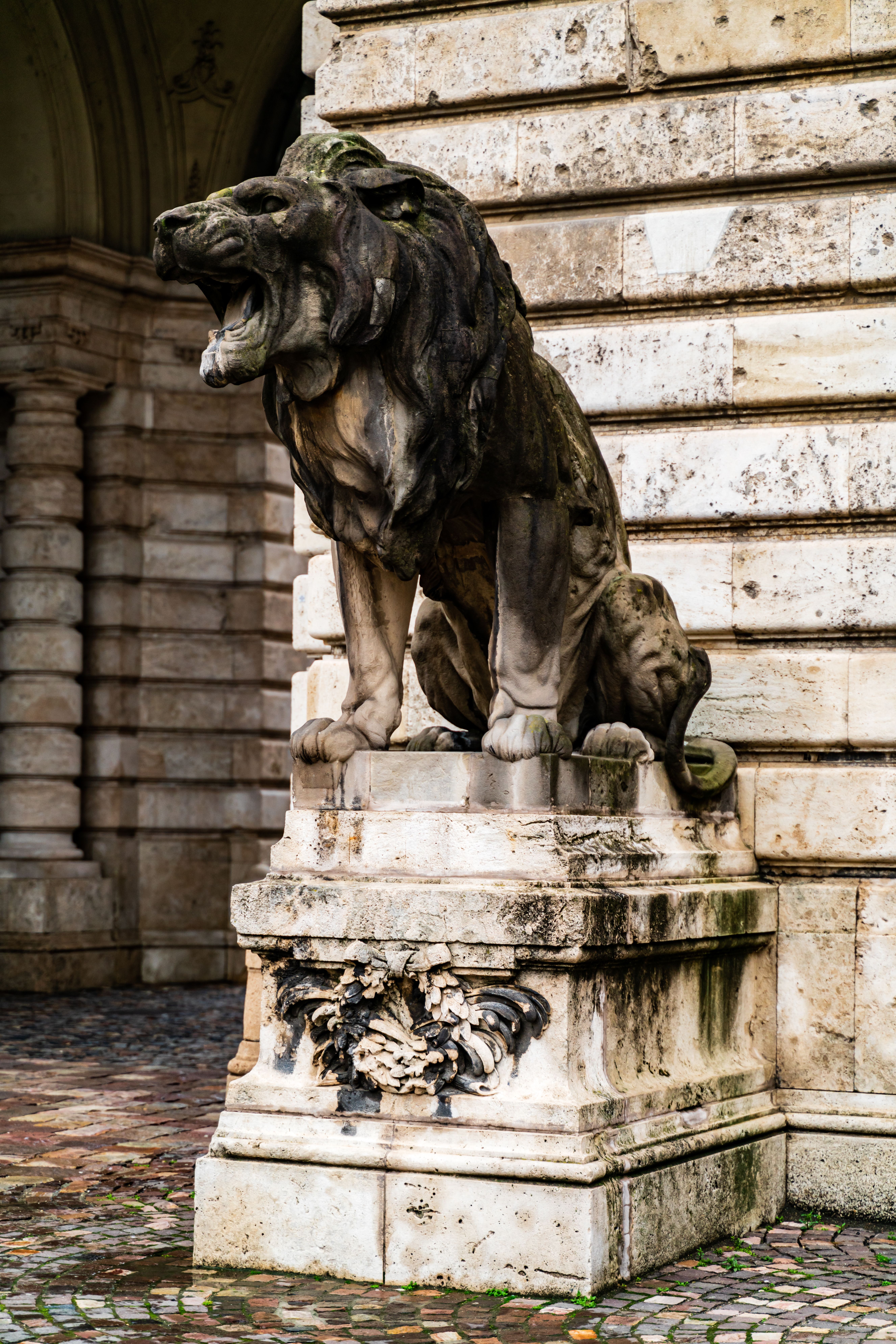 Majestic Guardian Lion Statue in Budapest · Free Stock Photo