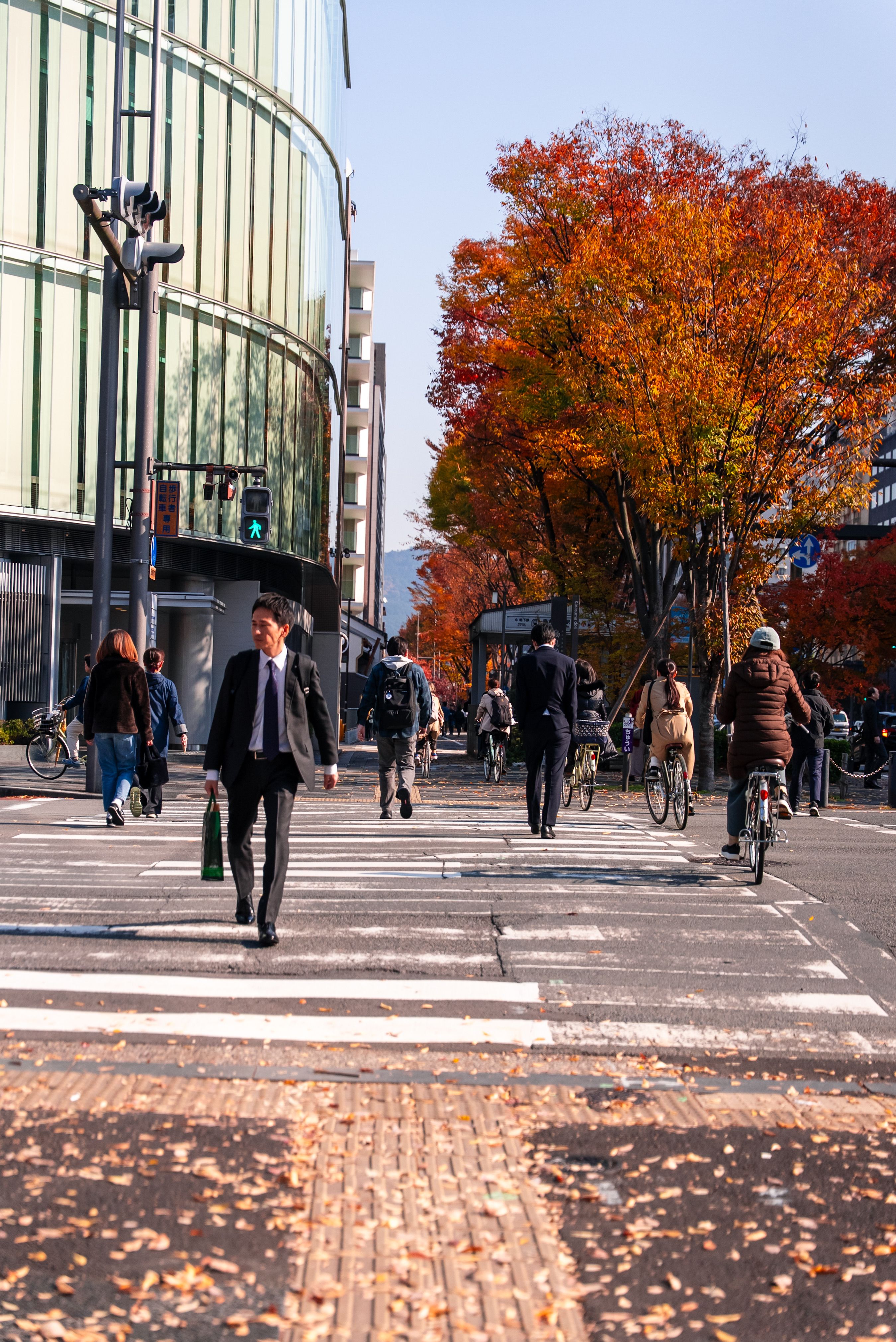 Busy Urban Street with Fall Foliage · Free Stock Photo