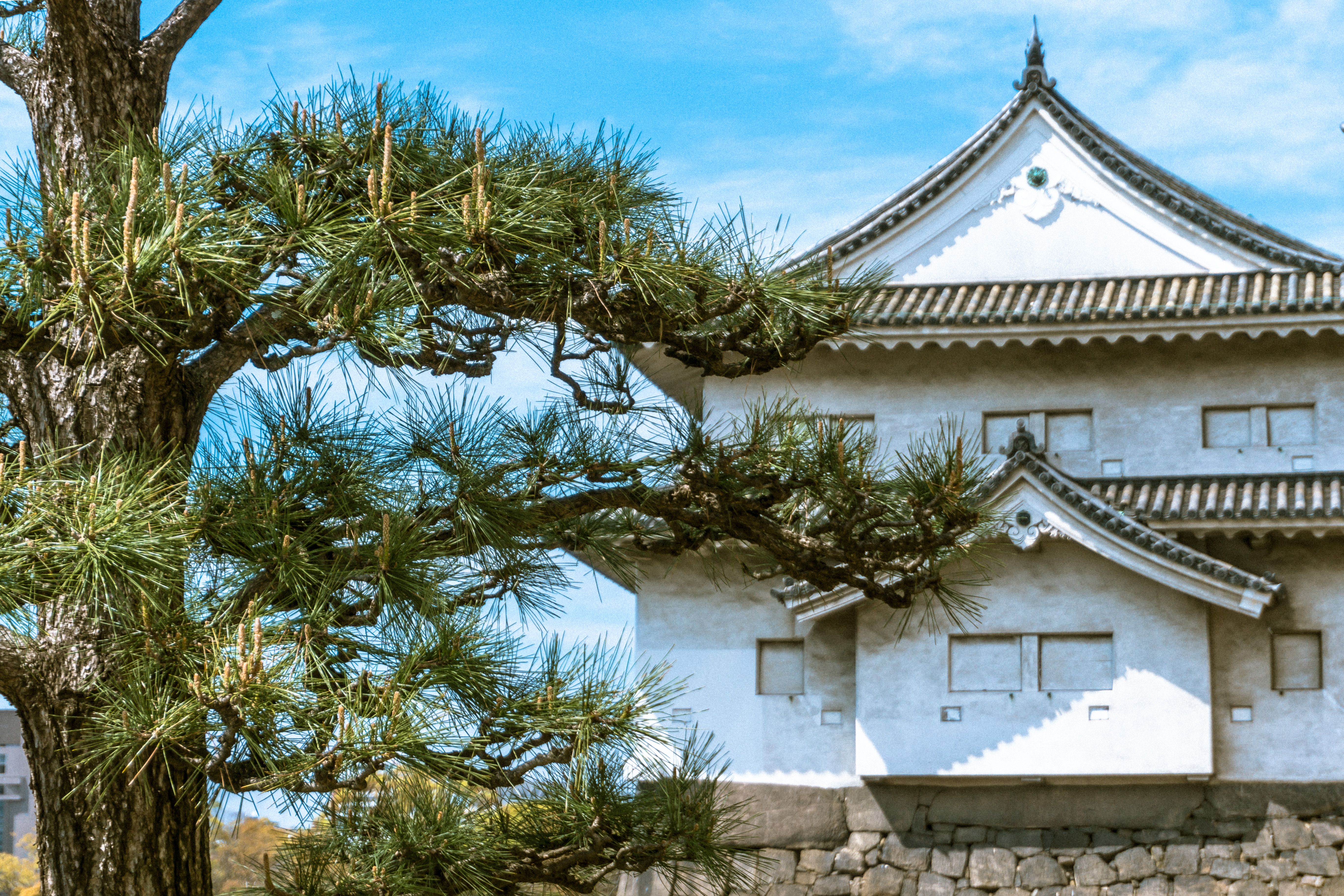 Scenic View of Traditional Japanese Architecture · Free Stock Photo