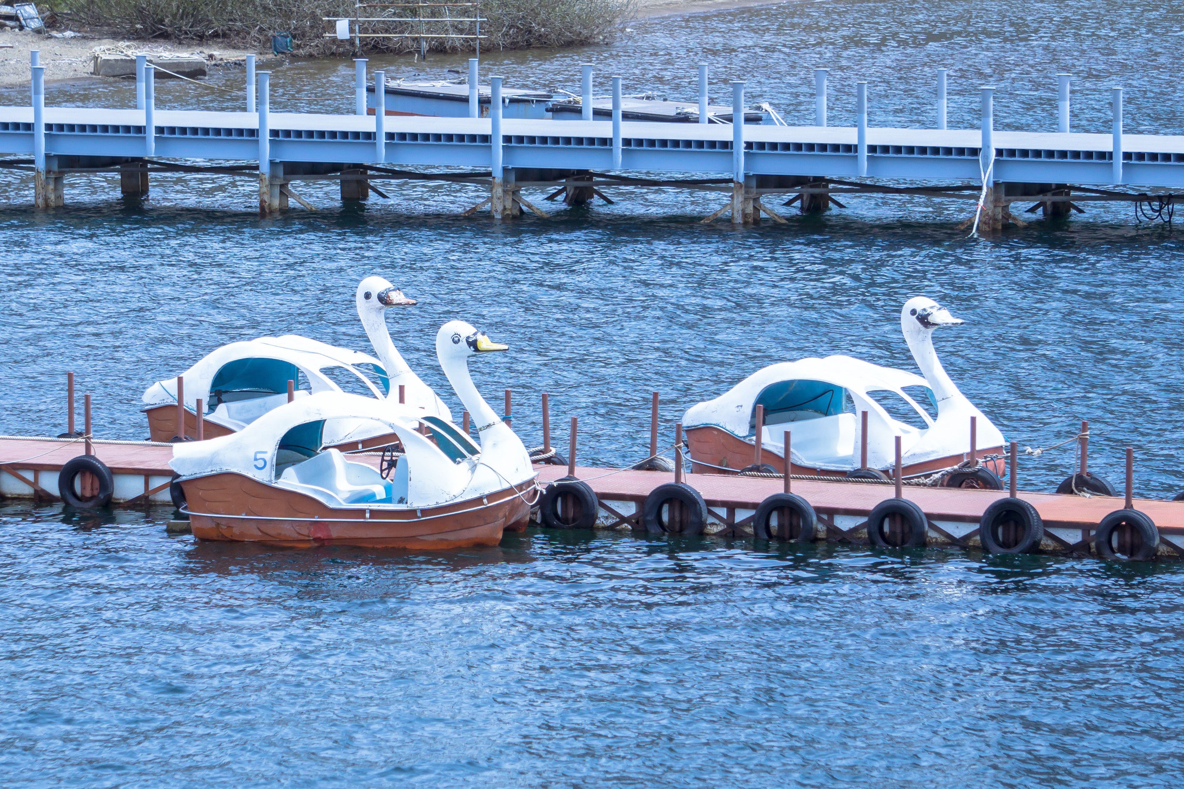 Swan-Shaped Paddle Boats at a Scenic Lake Dock · Free Stock Photo