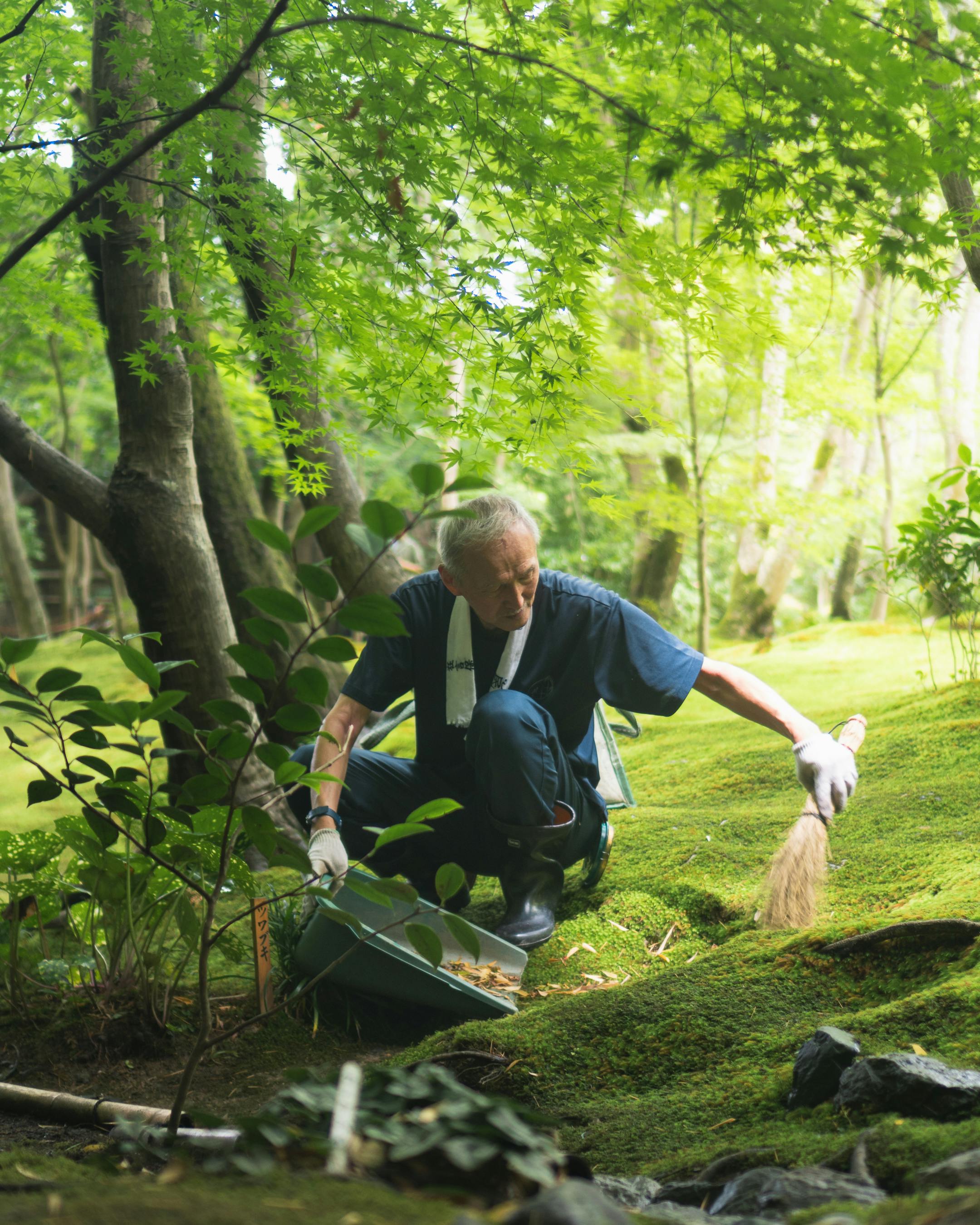 Zen Gardener Tending Serenity in Kyoto's Nature · Free Stock Photo
