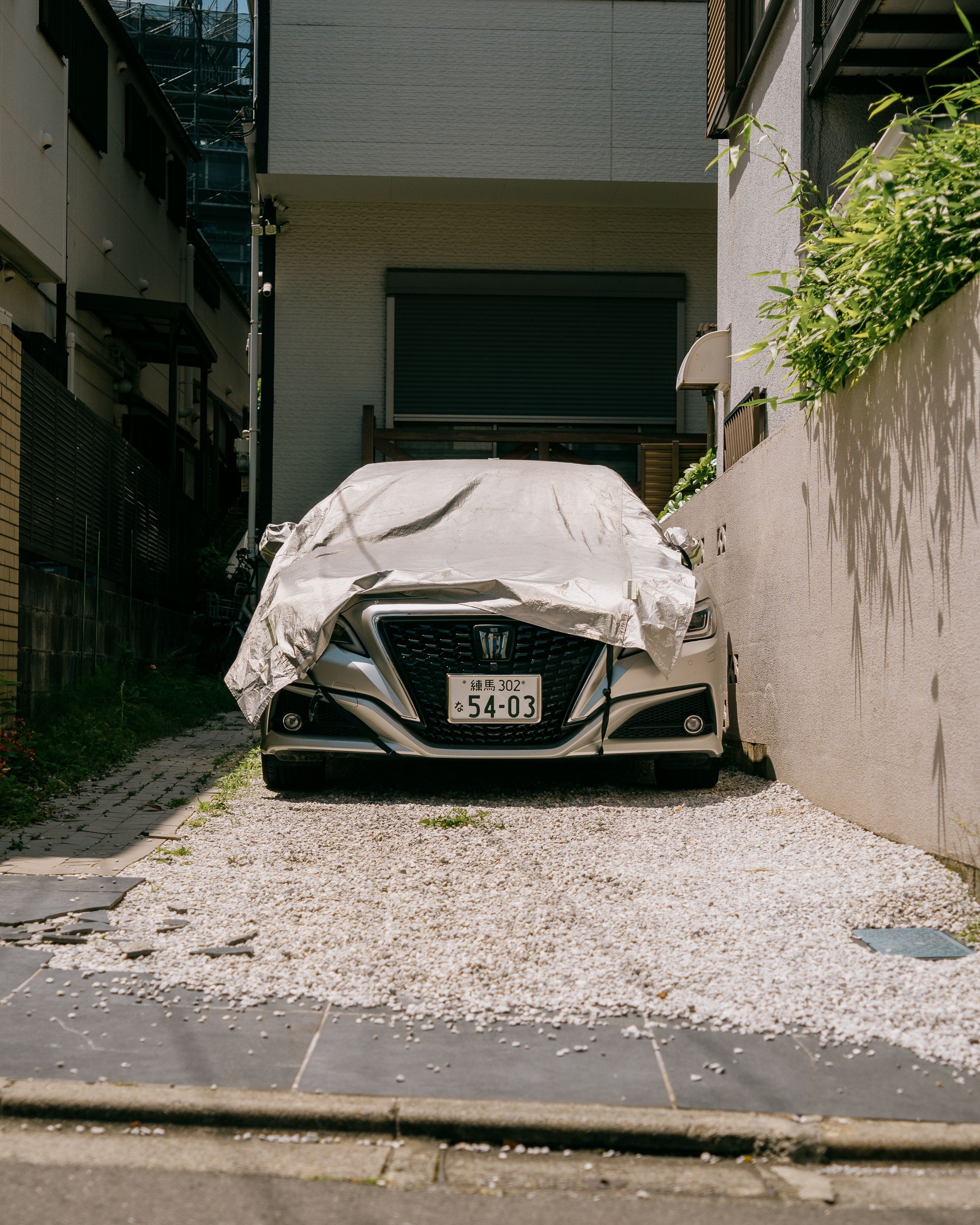 20,000+ Best Japanese+ima Photos · 100% Free Download · Pexels Stock Photos
