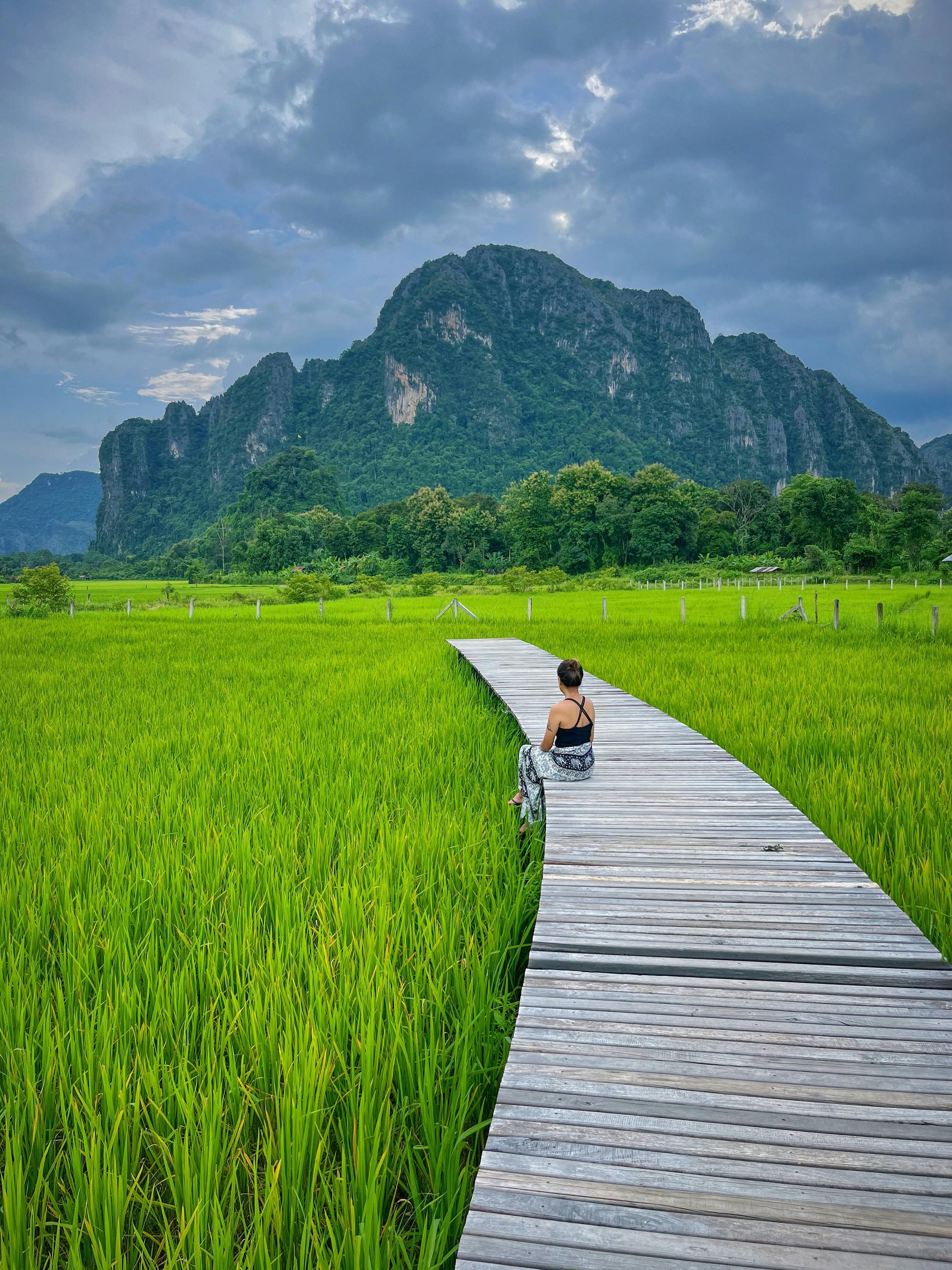 Woman Sitting on Wooden Path in Lush Green Field · Free Stock Photo
