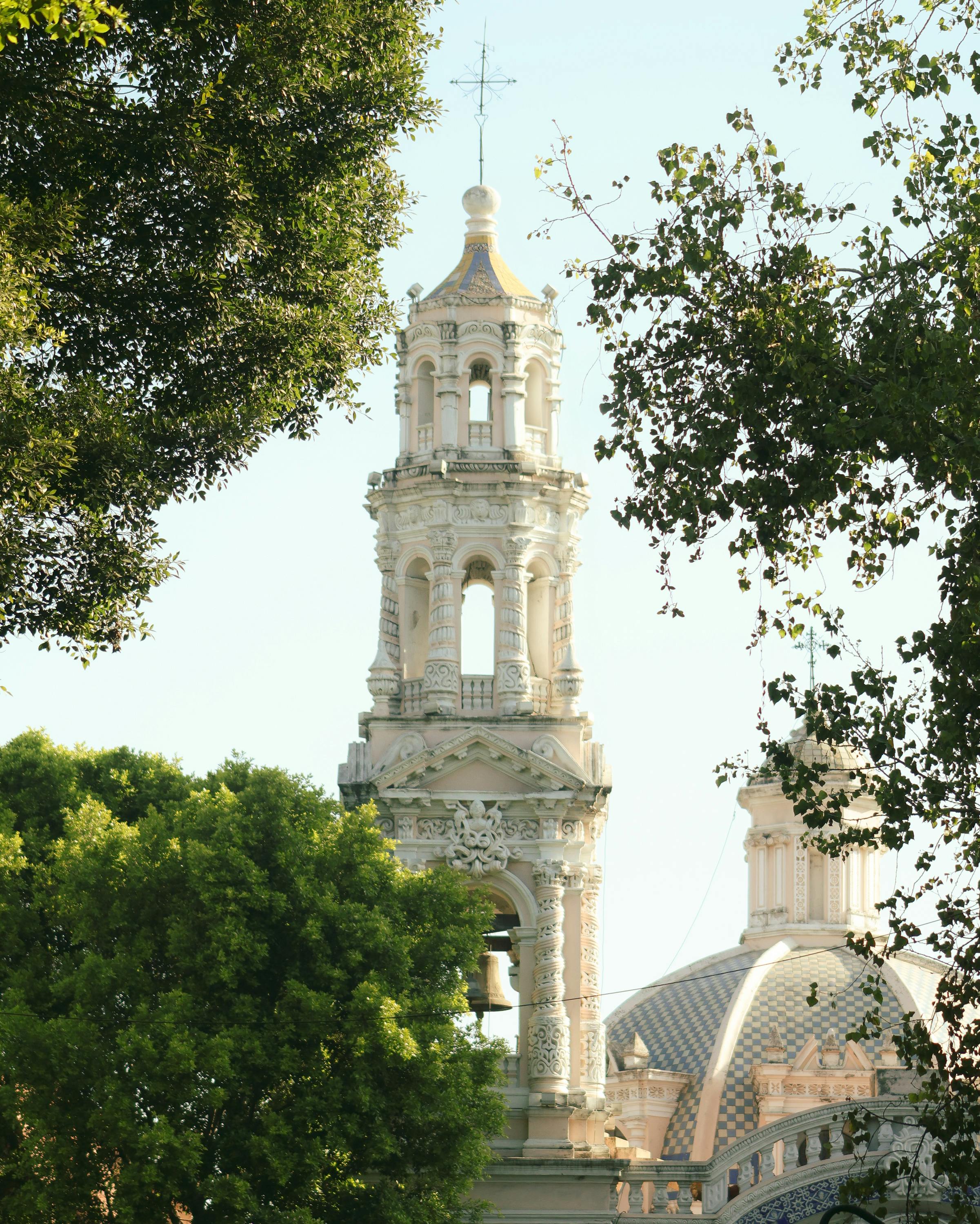 Holiday Snaps Photos, Download The BEST Free Holiday Snaps Stock Photos ...