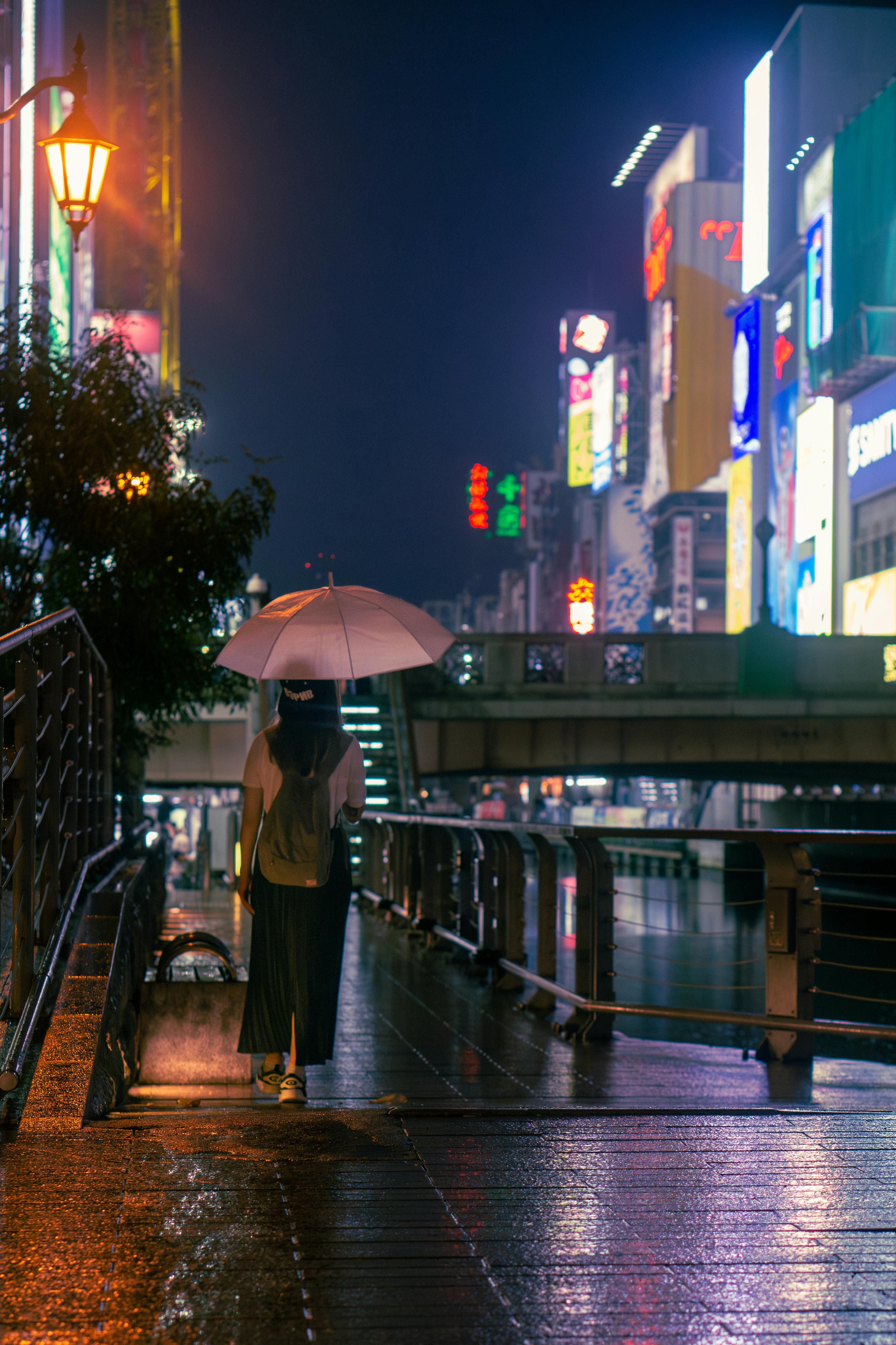 Nighttime Stroll in Rainy Dotonbori, Osaka · Free Stock Photo