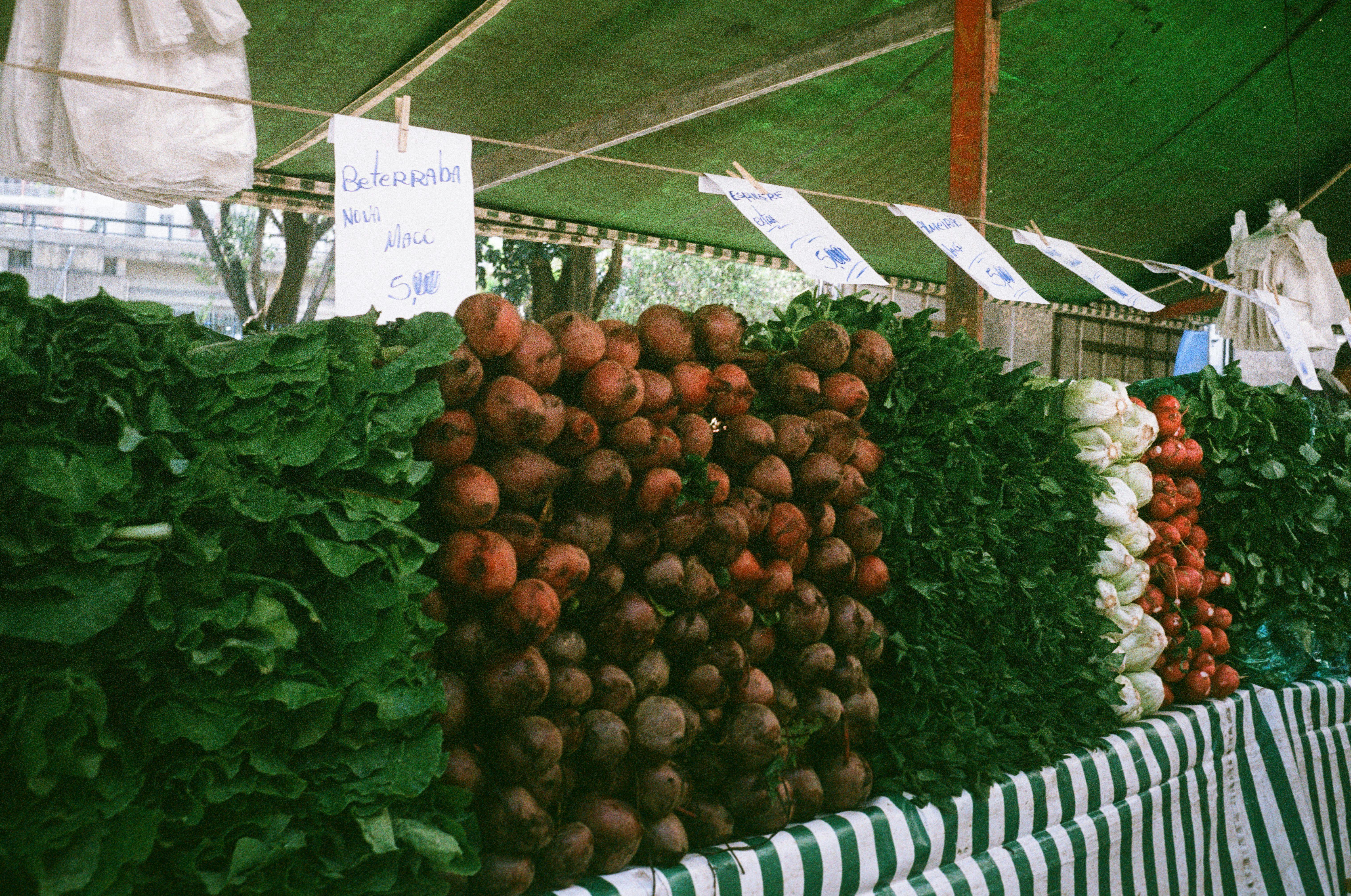 Free Fair Photos, Download The BEST Free Free Fair Stock Photos & HD Images