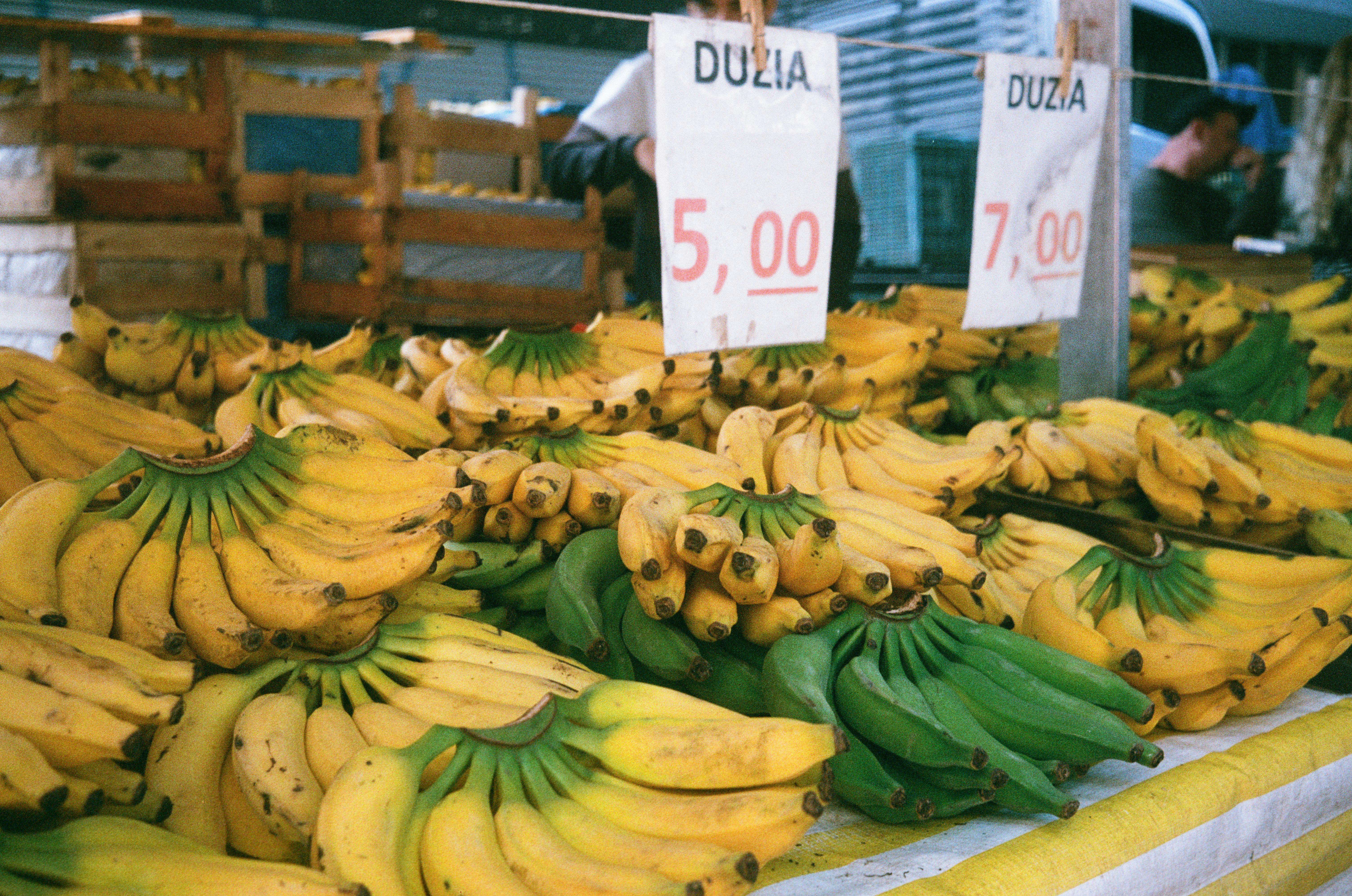 Free Fair Photos, Download The BEST Free Free Fair Stock Photos & HD Images