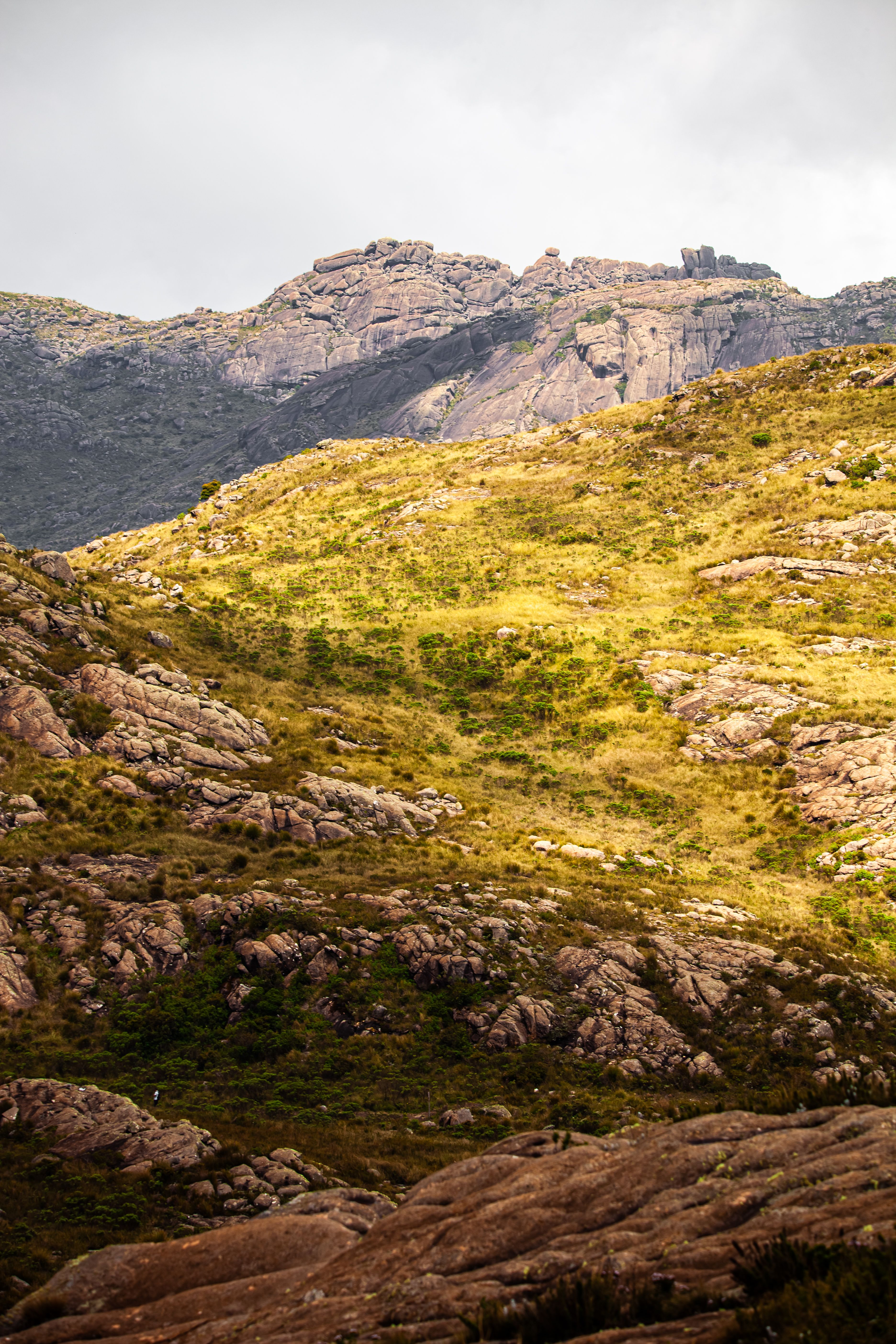 Scenic Rocky Mountain Landscape in Daylight · Free Stock Photo