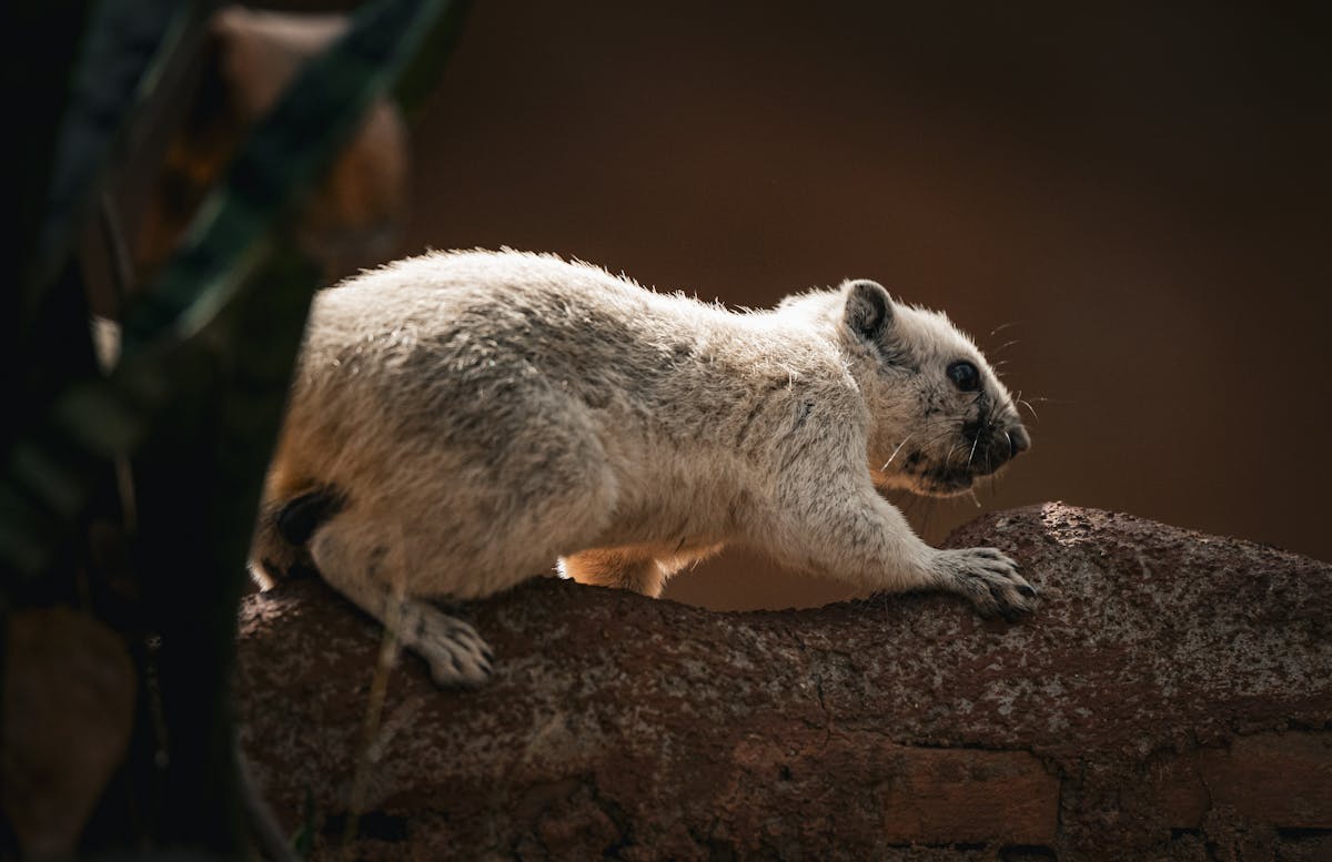 Wallpapers Slideshow Photos, Download The BEST Free Wallpapers ...