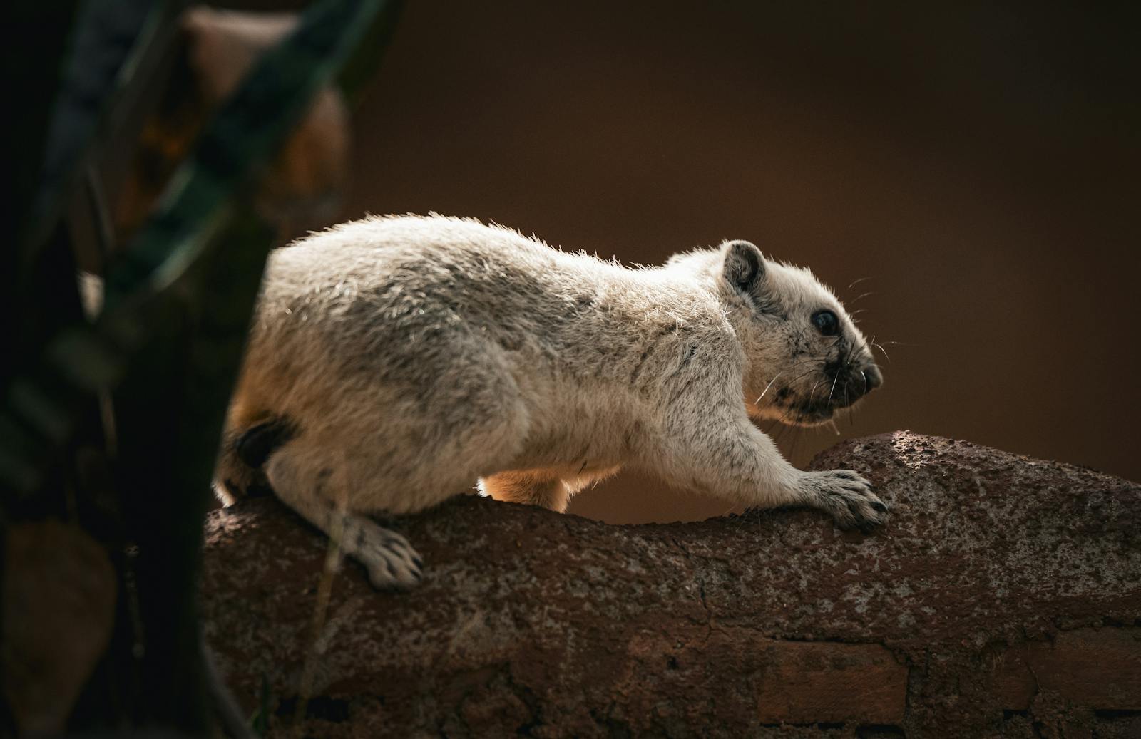 Free Pix Photos, Download The BEST Free Free Pix Stock Photos & HD Images