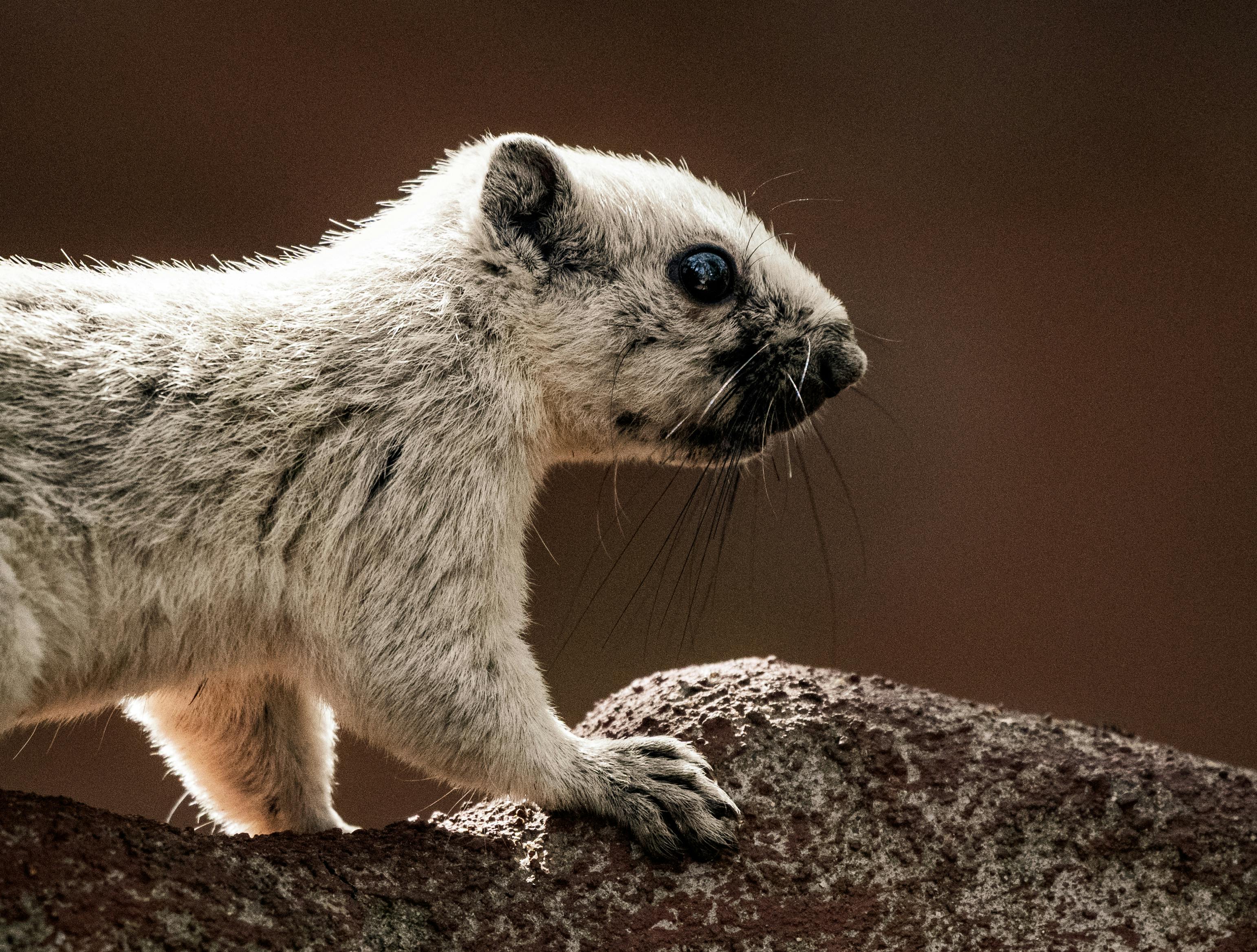 Sample Profile Pictures Photos, Download The BEST Free Sample Profile ...