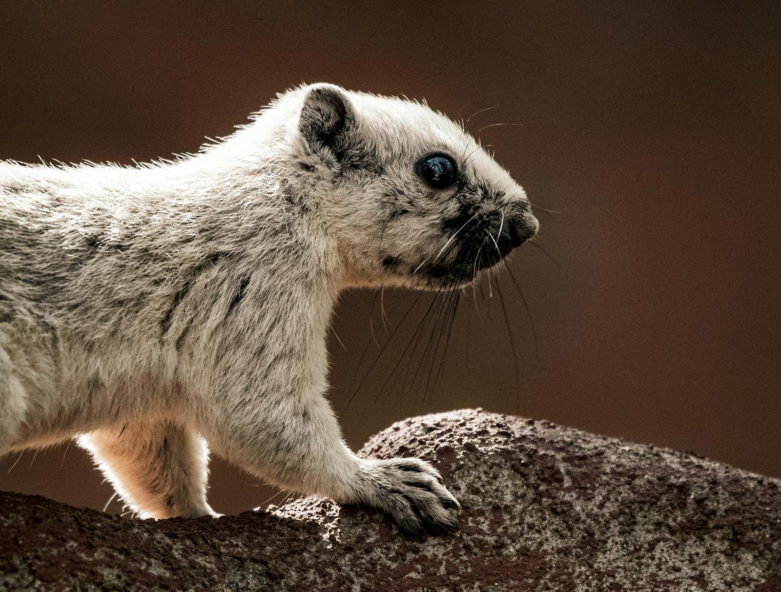 Free Pix Photos, Download The BEST Free Free Pix Stock Photos & HD Images