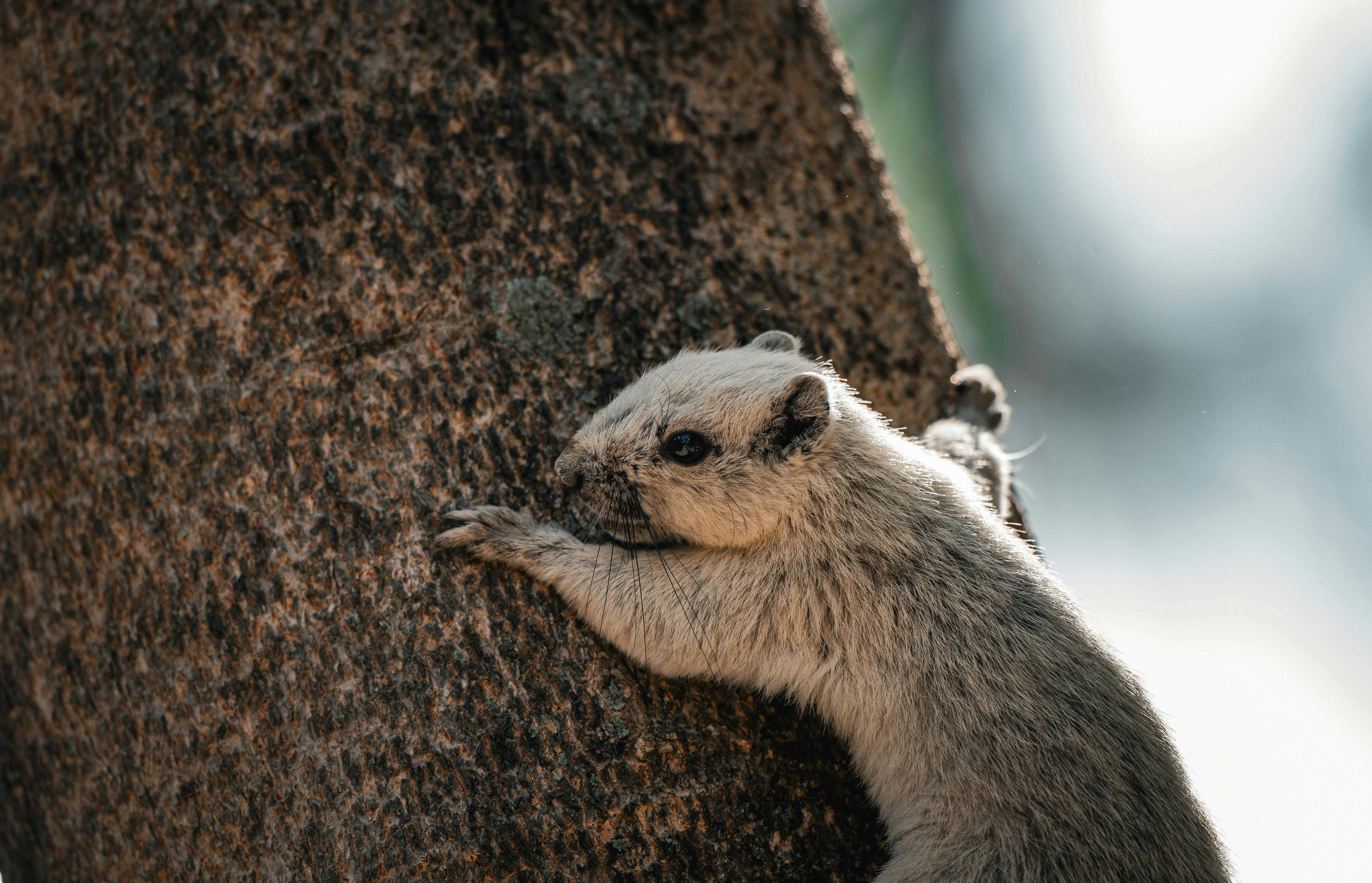 200,000+개의 최고의 Free Picture Of Playing In Mud 사진 · 100% 무료 다운로드 ...