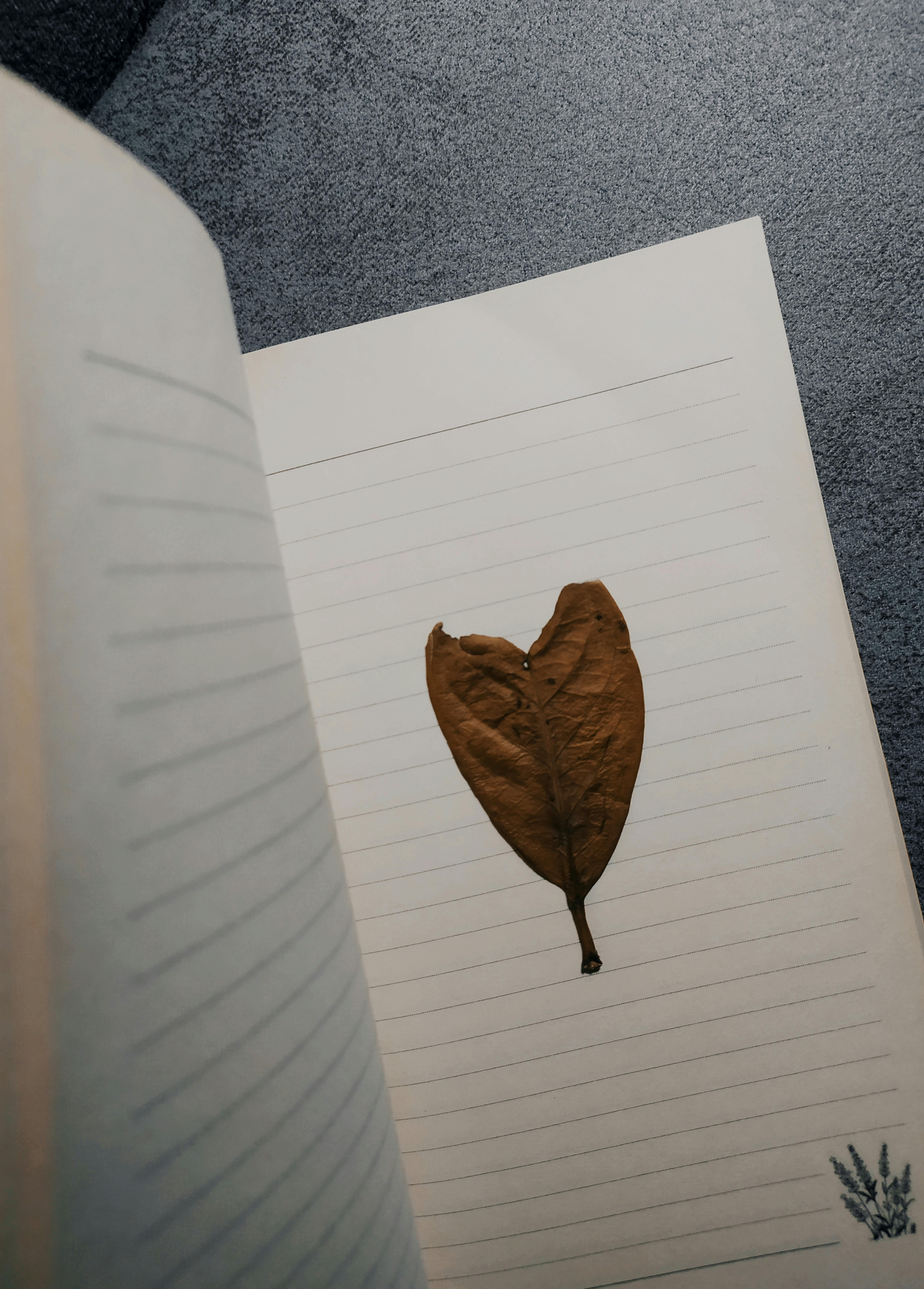 Hoja Seca En Forma De Corazón Prensada En Un Diario · Foto de stock ...