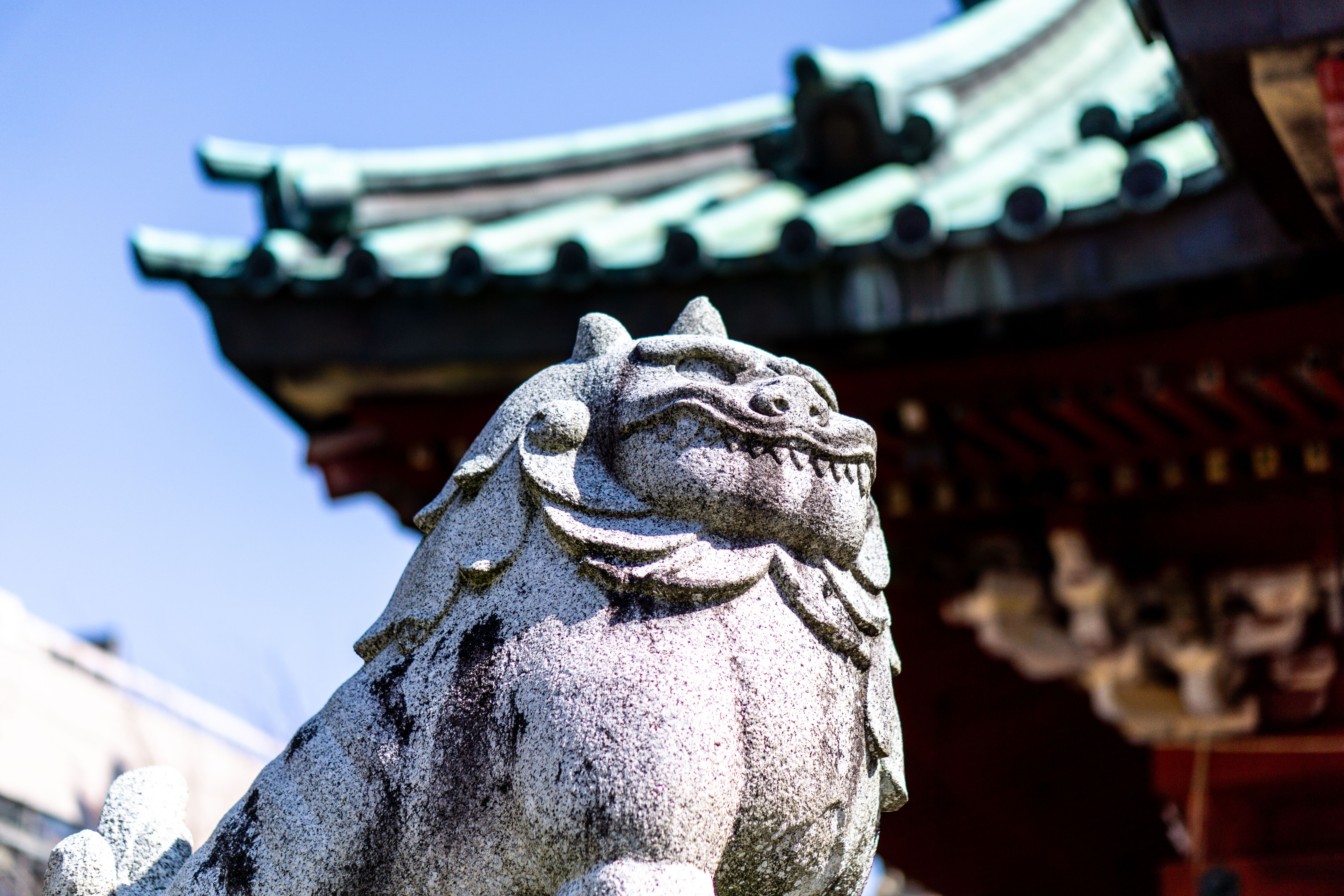 Close-up of a Japanese Stone Guardian Statue · Free Stock Photo