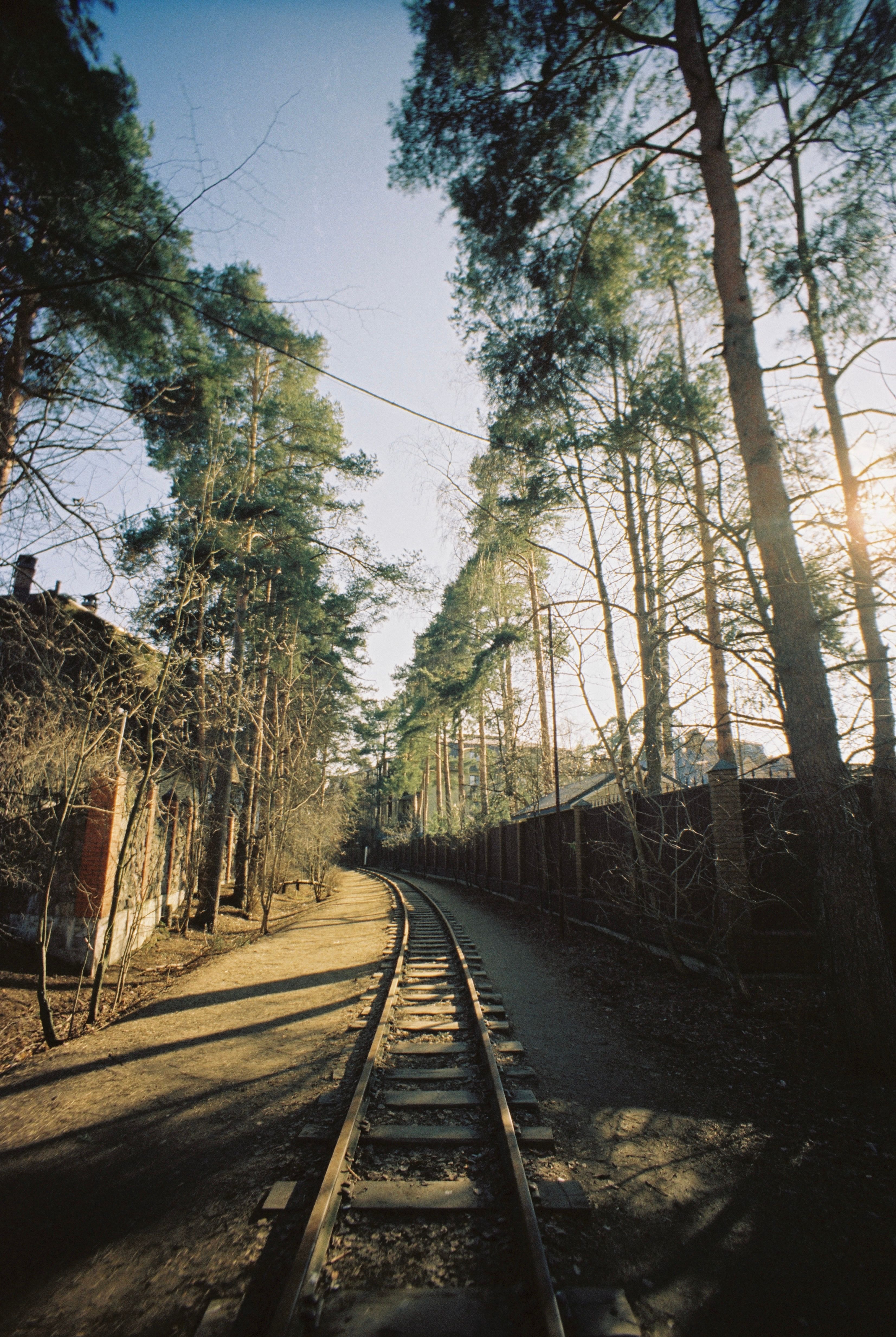 Rustic Railway Tracks in Forest Setting · Free Stock Photo