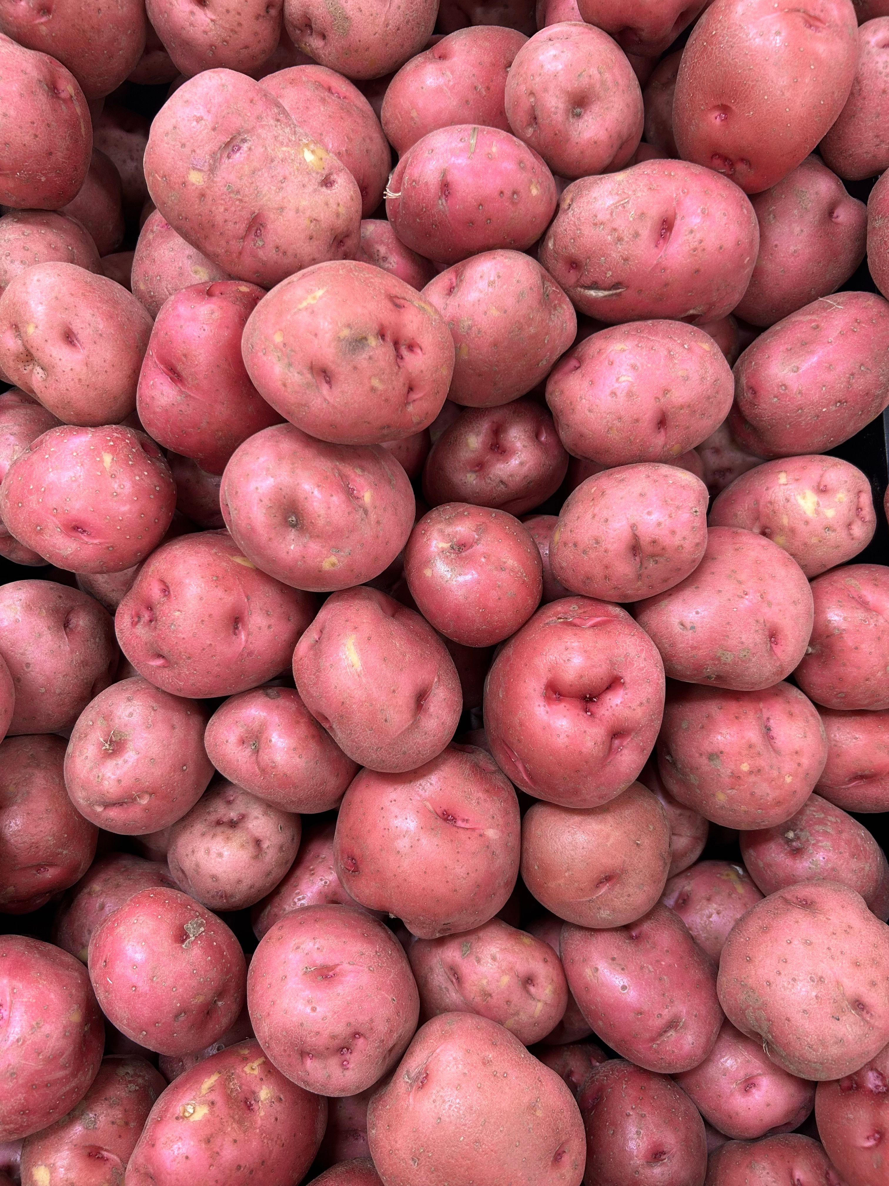 Pile of Red Potatoes Displayed at Market · Free Stock Photo
