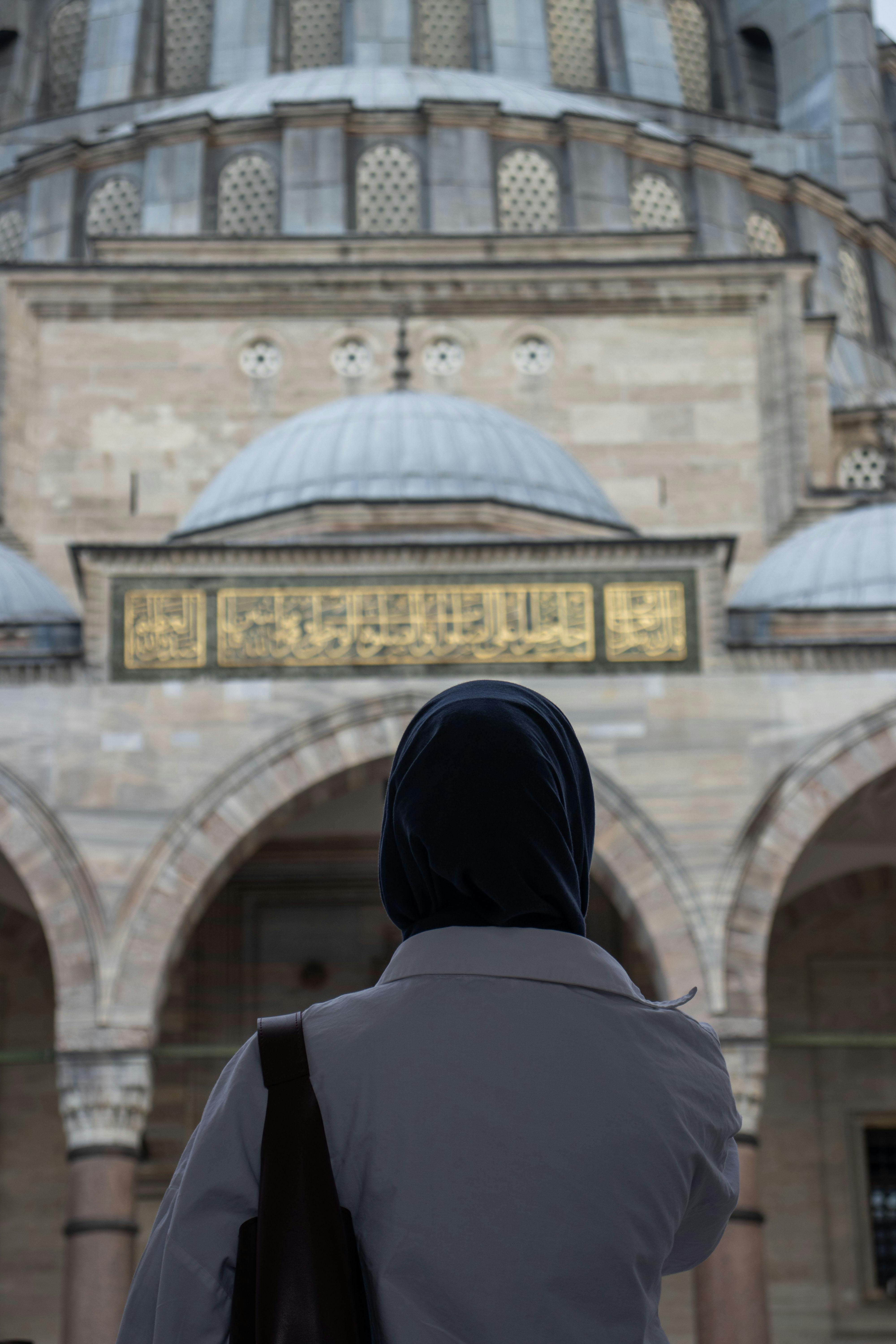 Learn Flutter Photos, Download The BEST Free Learn Flutter Stock Photos ...