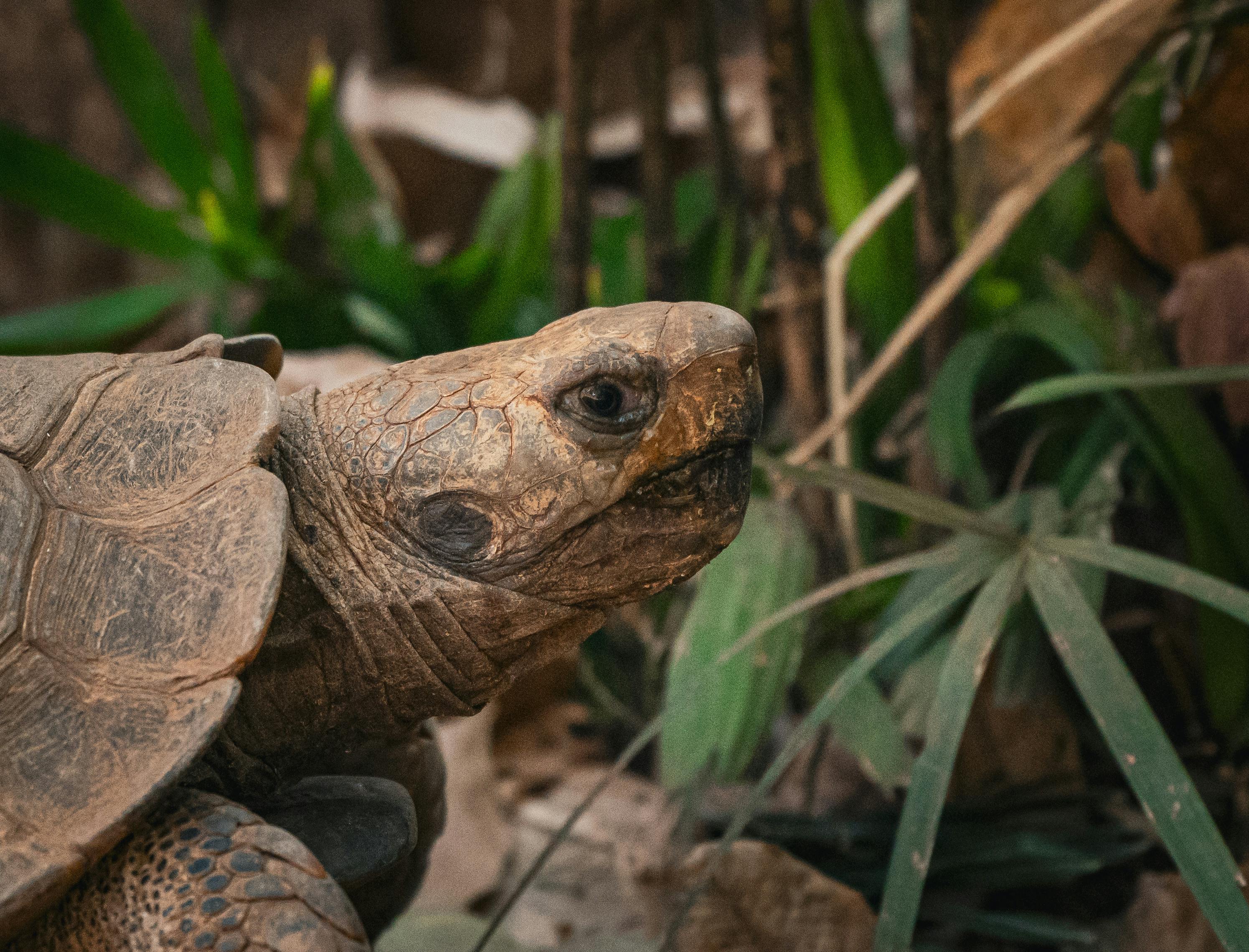 Side Images Photos, Download The BEST Free Side Images Stock Photos ...