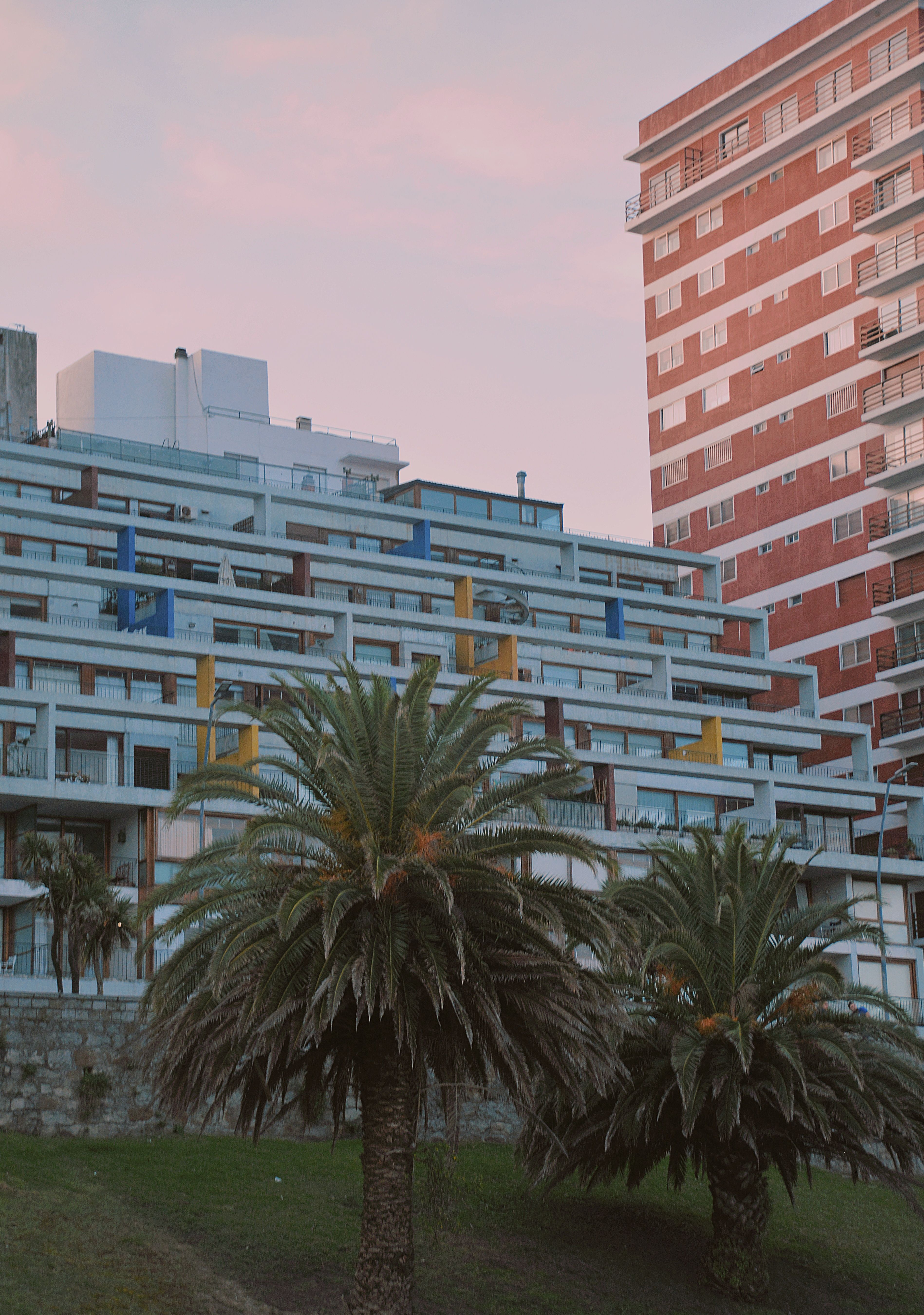 Modern Architecture Residential Building with Palm Trees · Free Stock Photo