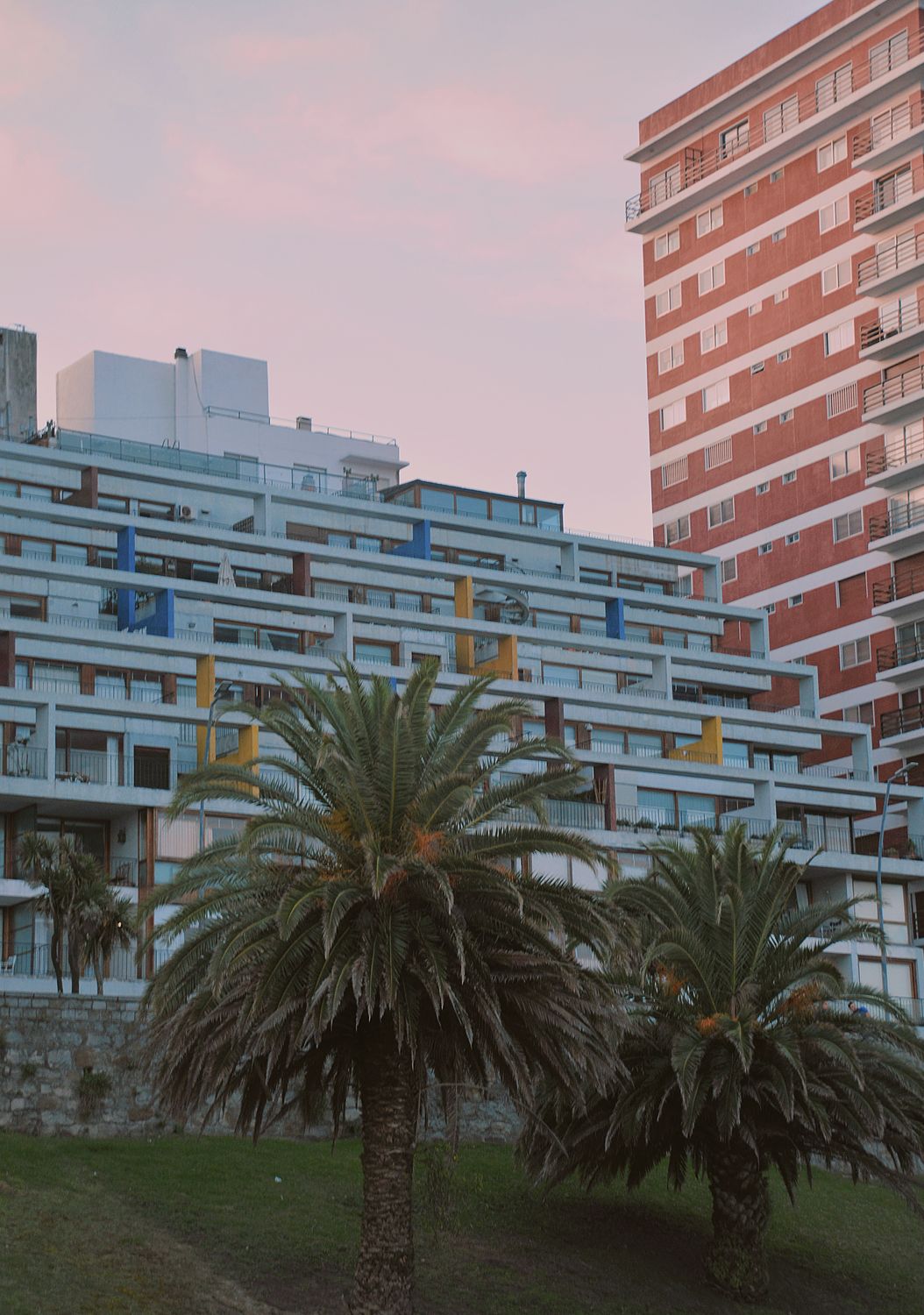 Modern Architecture Residential Building with Palm Trees · Free Stock Photo