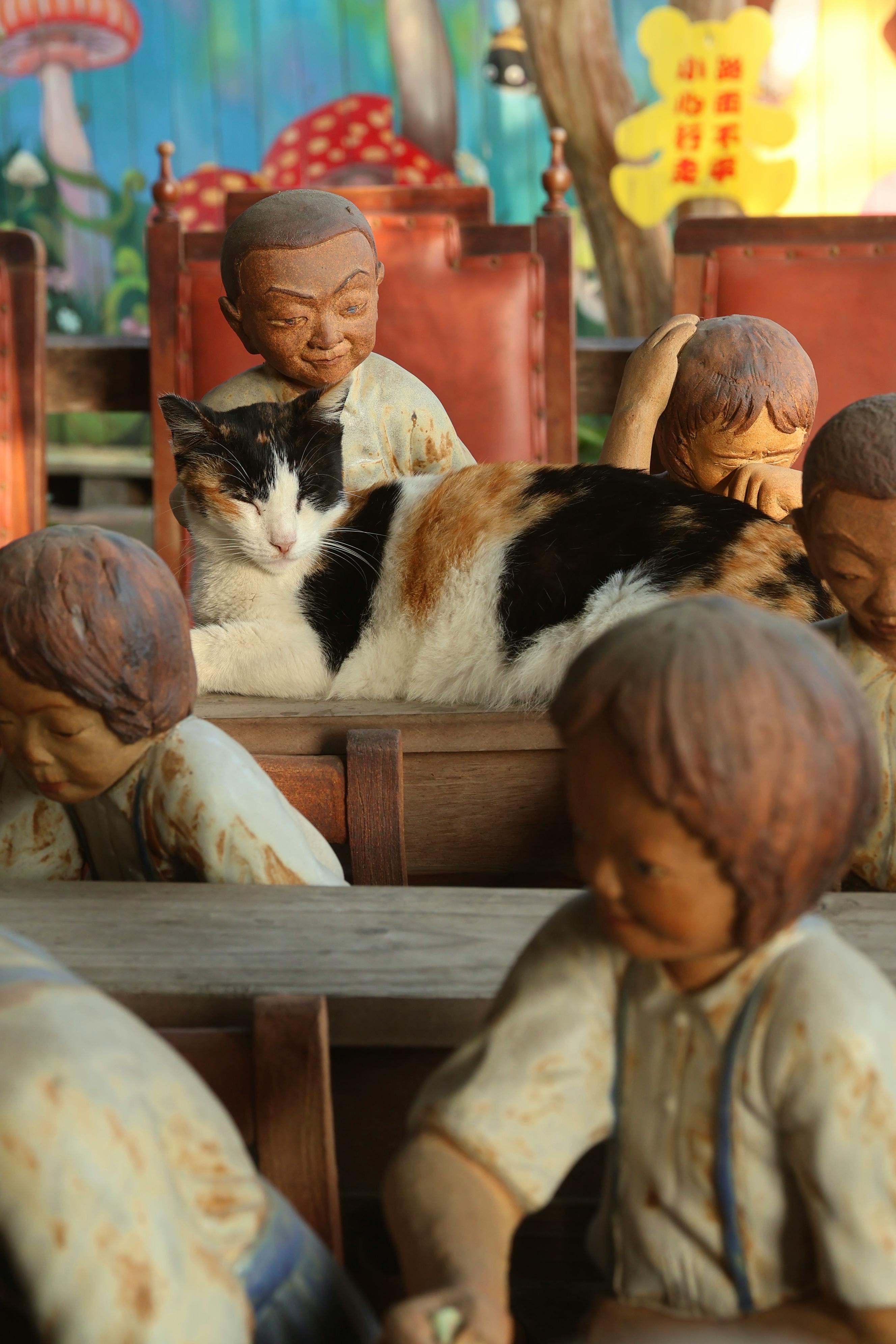 Funny Thumbnail Photos, Download The BEST Free Funny Thumbnail Stock ...