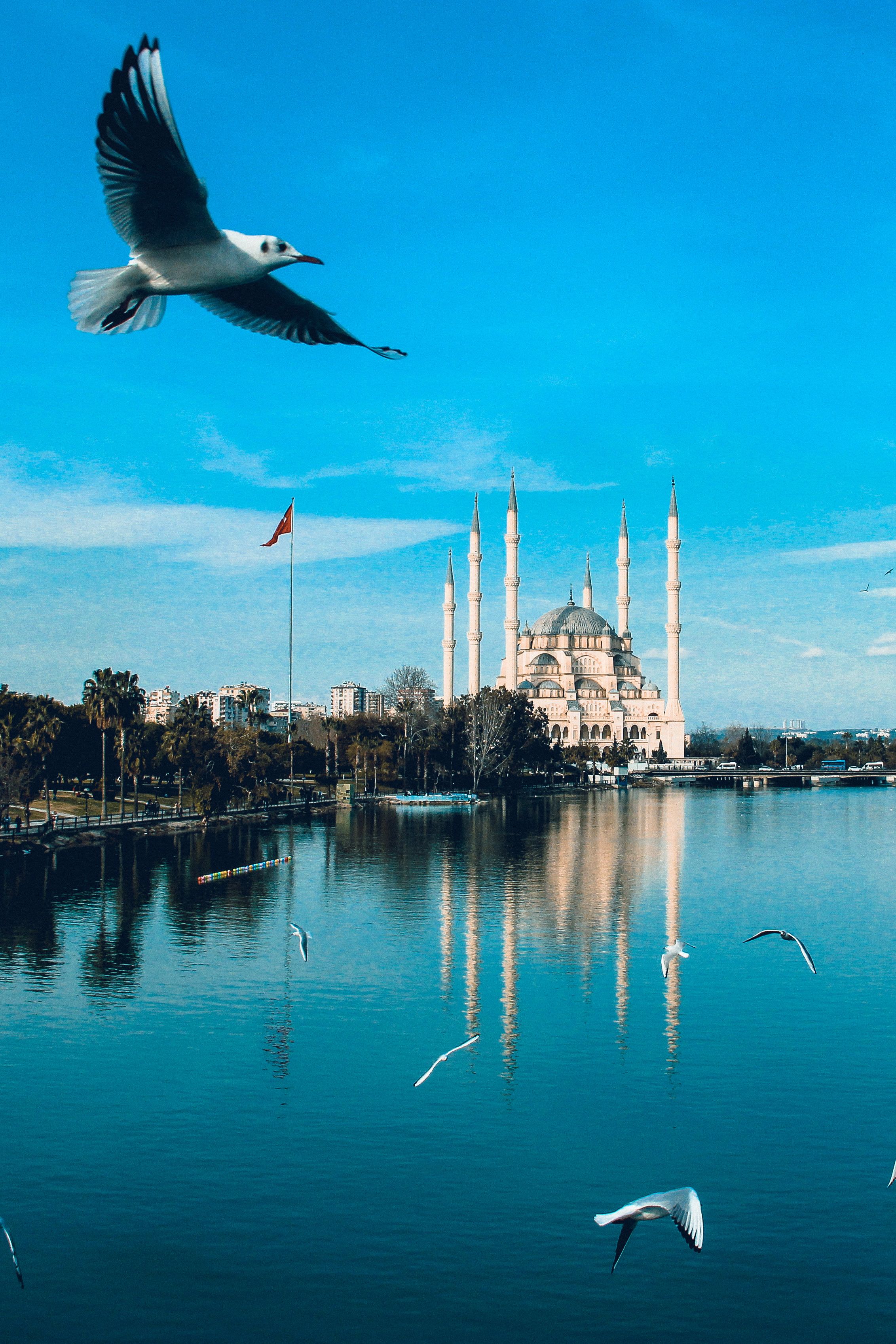 Beautiful Mosque by the River with Flying Birds · Free Stock Photo