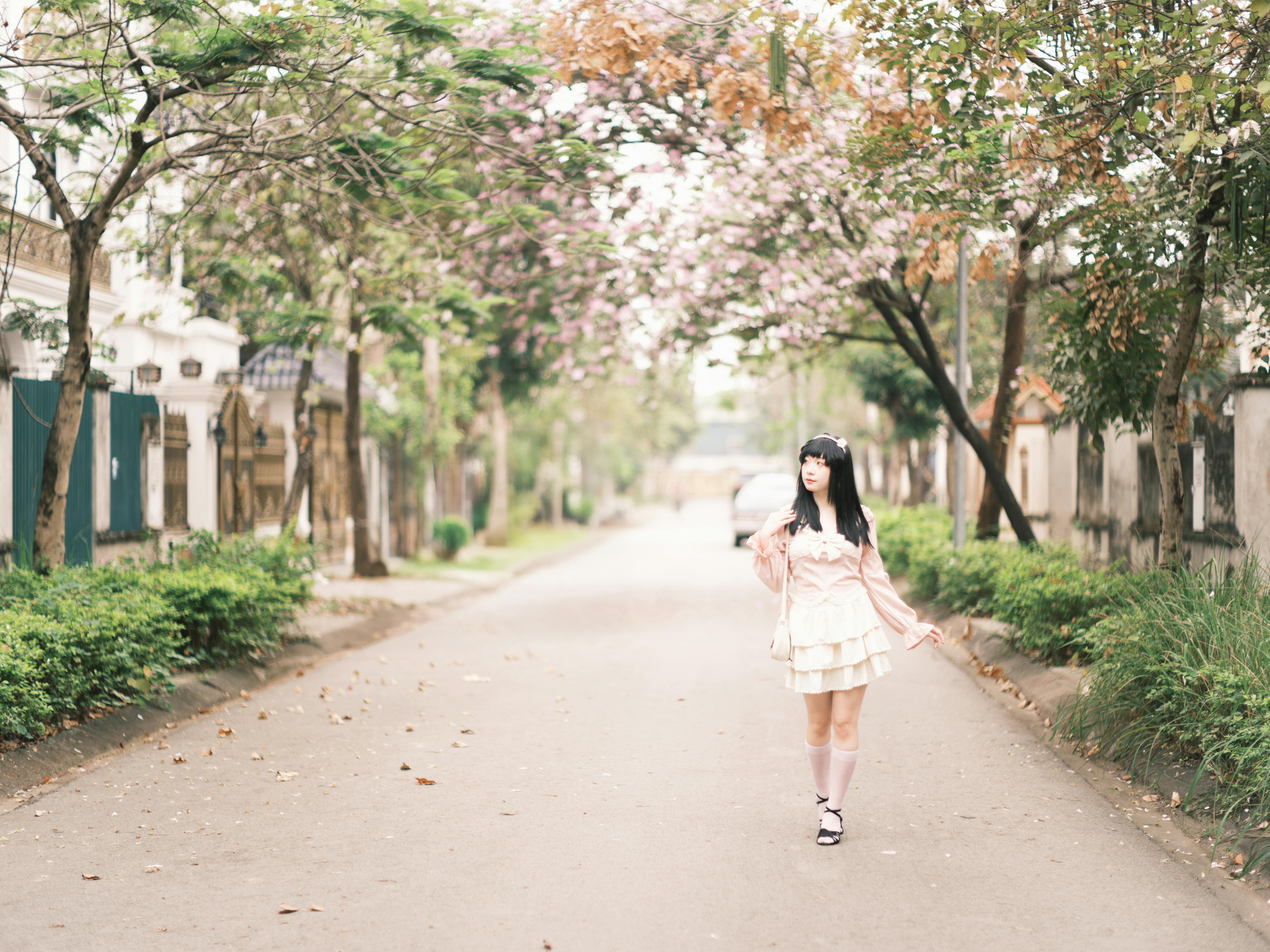 Walking Alon Photos, Download The BEST Free Walking Alon Stock Photos ...