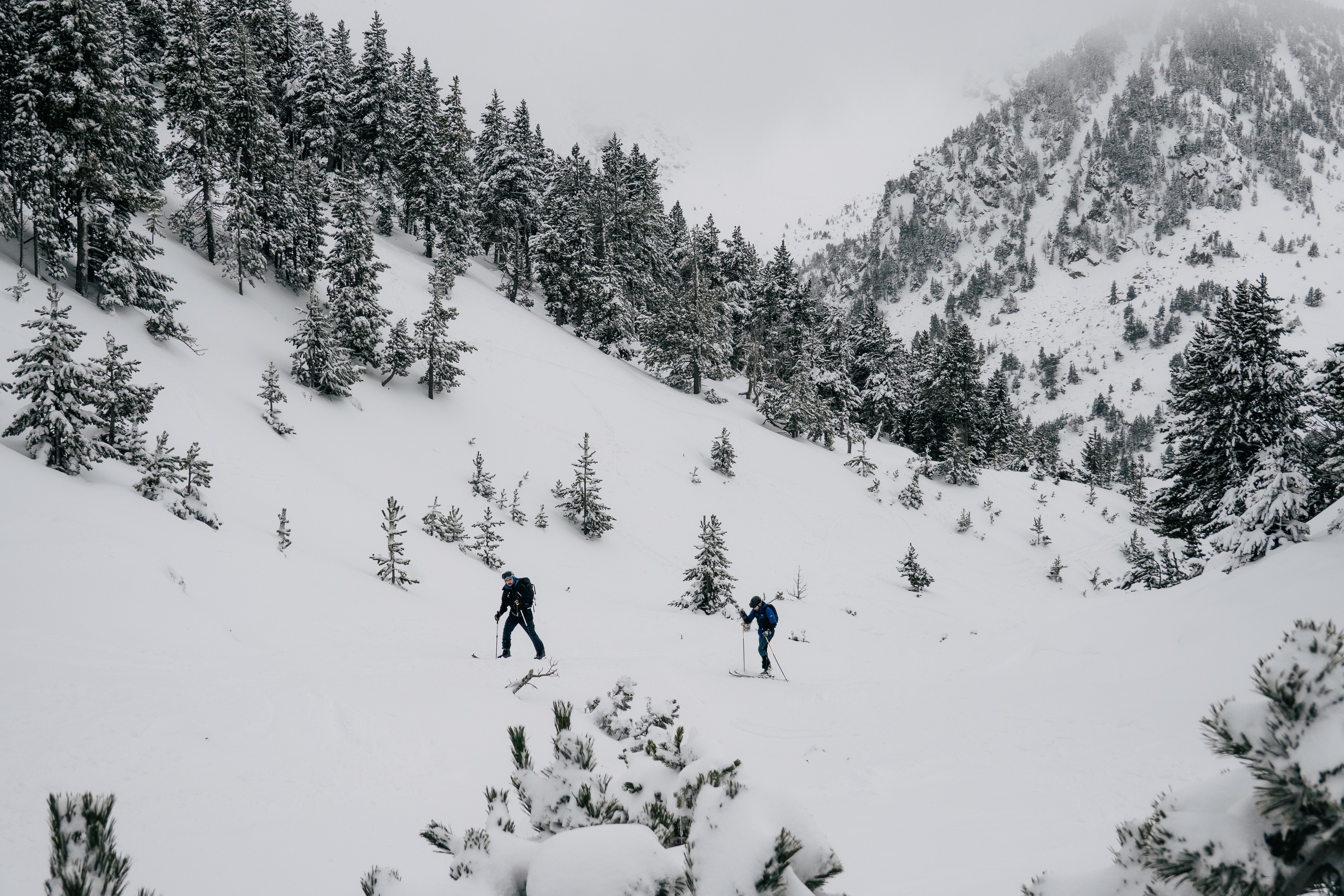 Skiers Navigate Snowy Mountainside in Winter Wonderland · Free Stock Photo