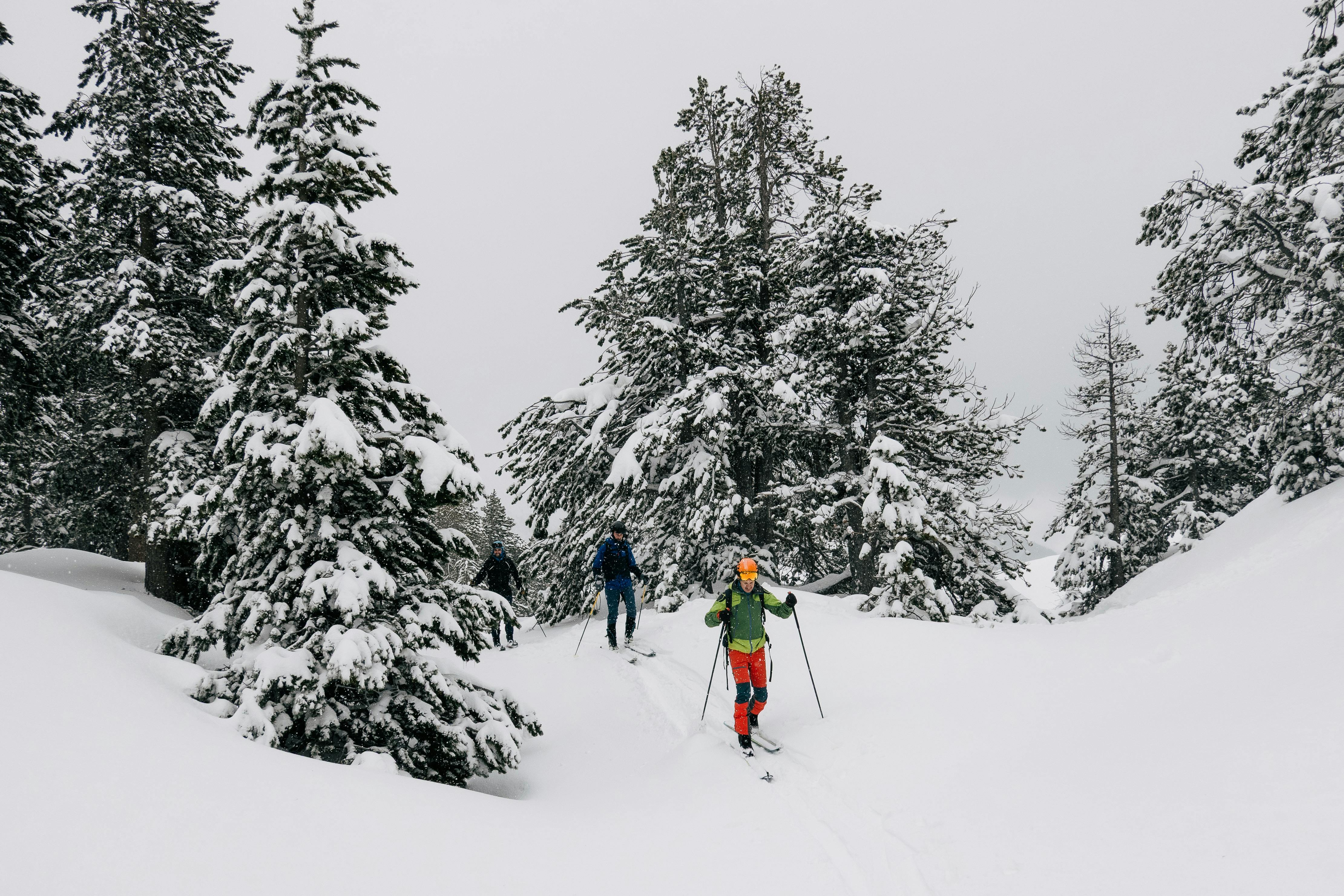 Two Skiers Navigating Snow-Covered Forest Trail · Free Stock Photo