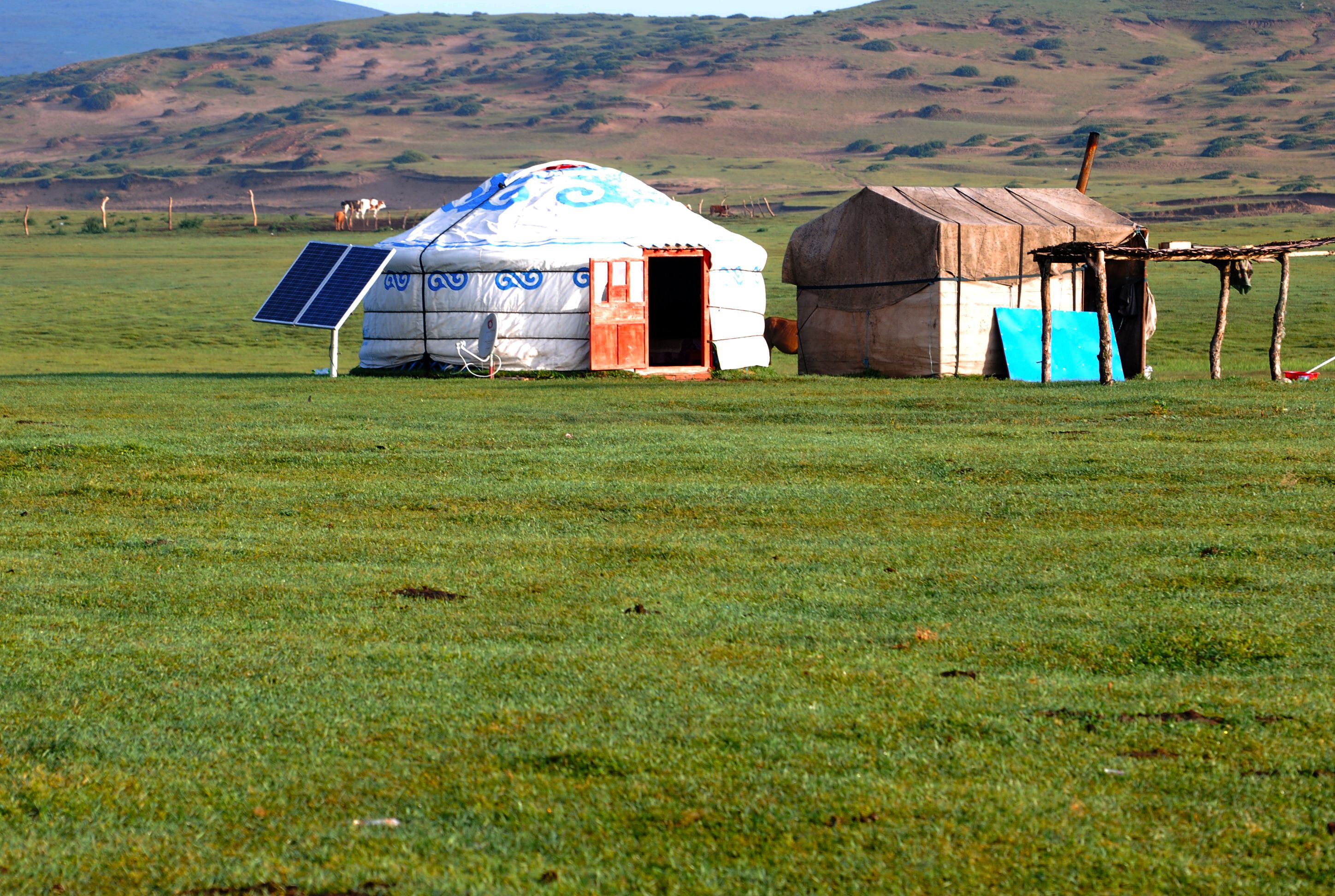 Mongolian Ger Landscape