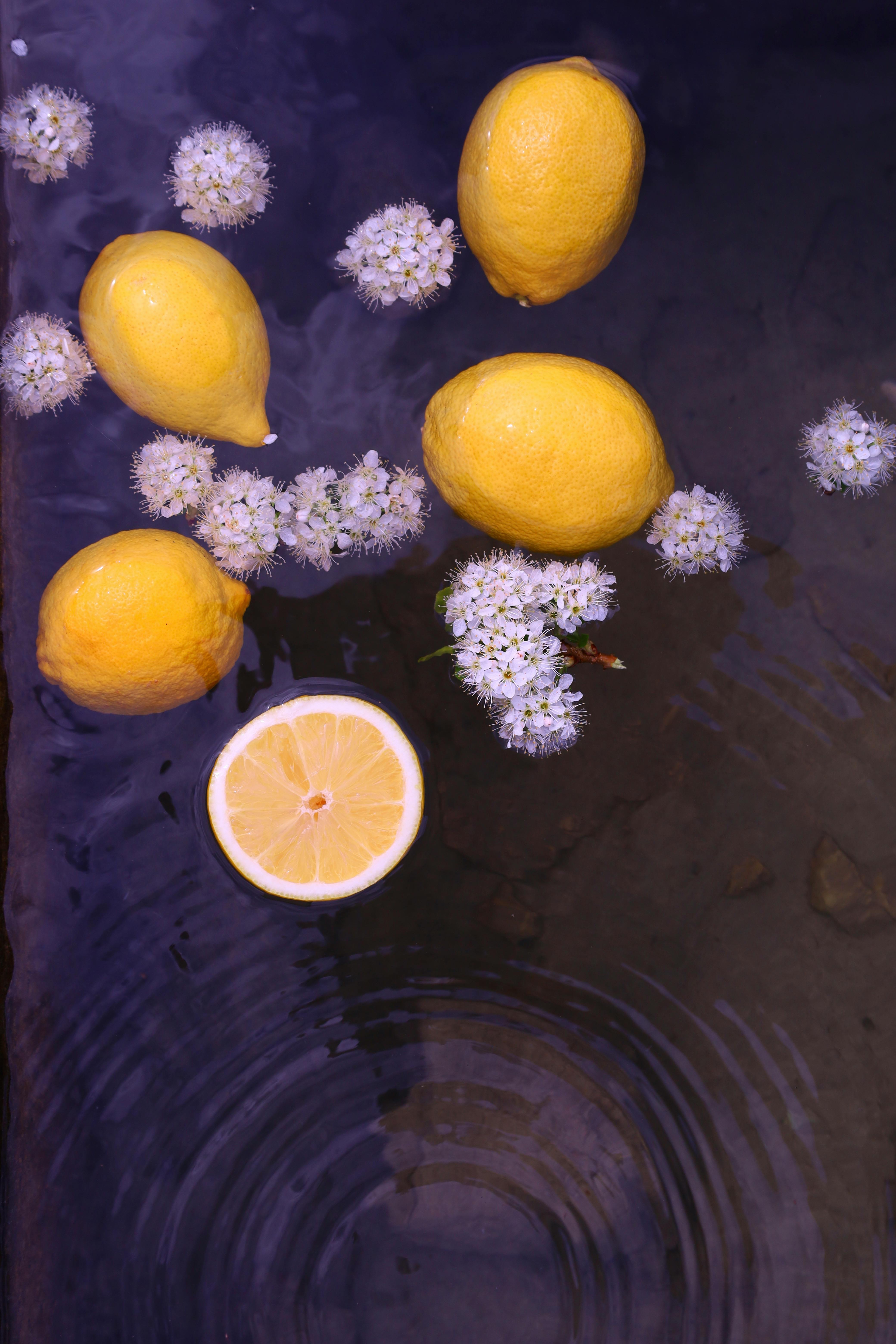 Floating Lemons and Blossoms in Clear Water · Free Stock Photo