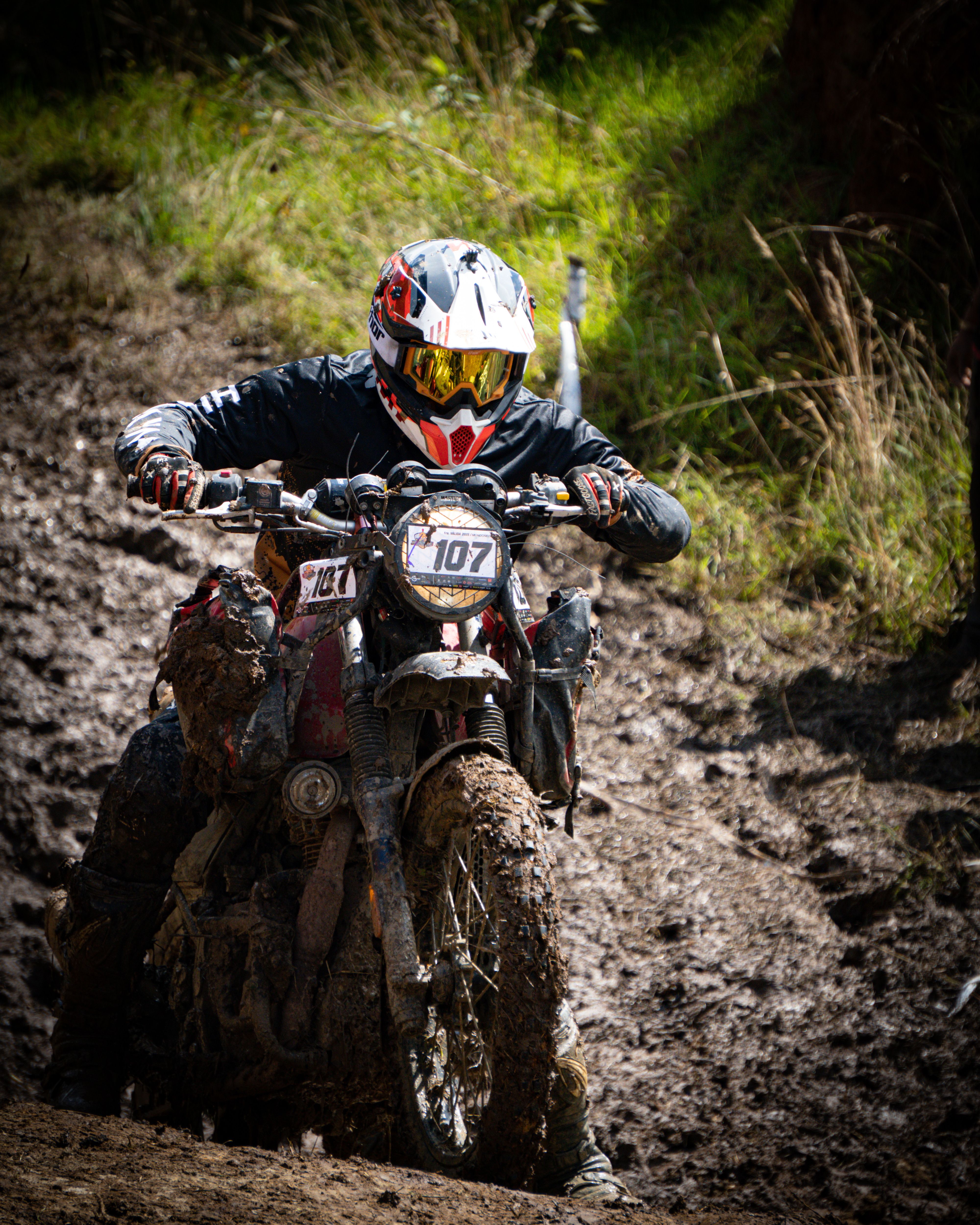 Dynamic Off-Road Motorcycle Racing Action Shot · Free Stock Photo