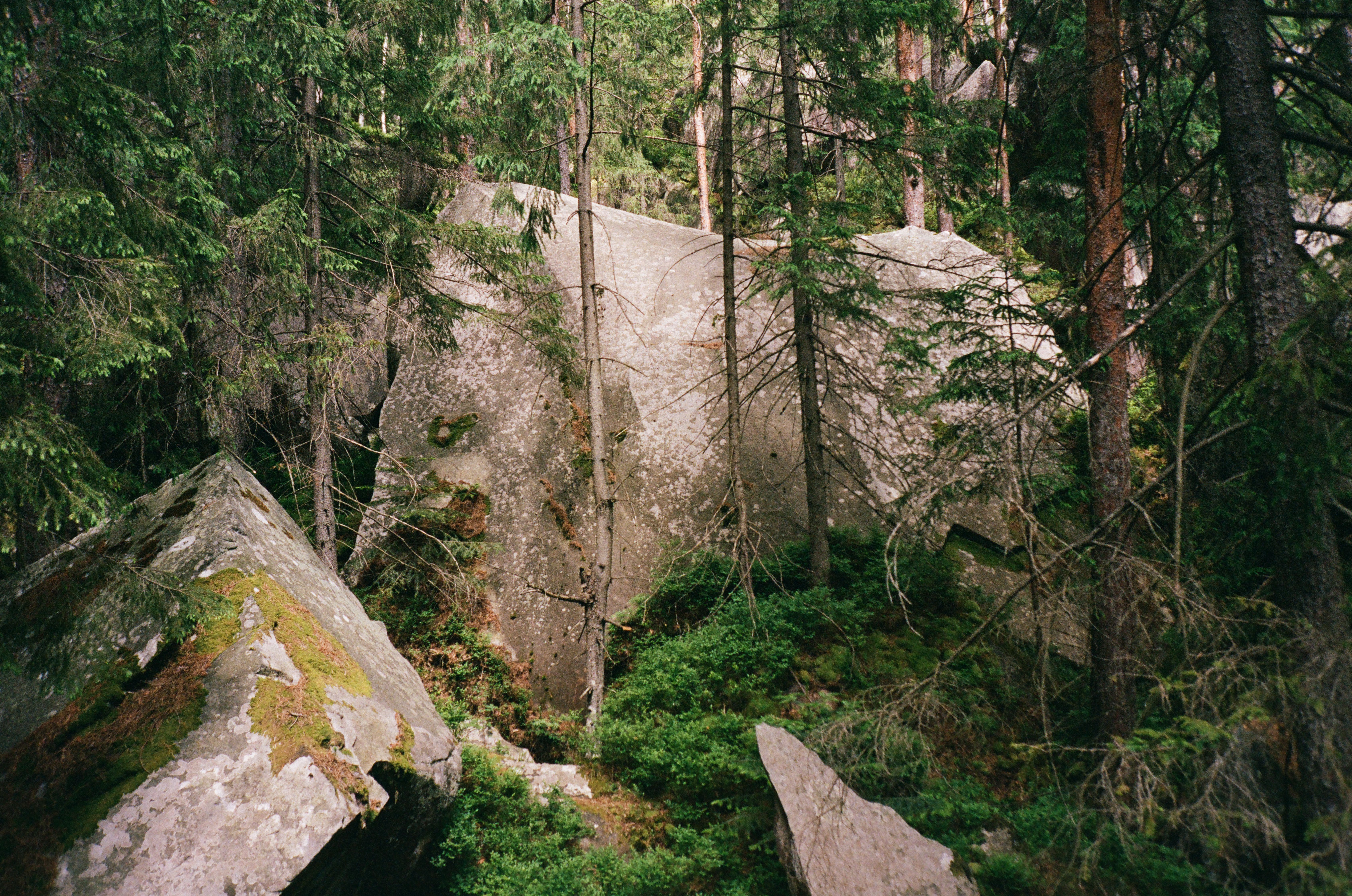 Breathtaking Forest Rocks in the Carpathians · Free Stock Photo