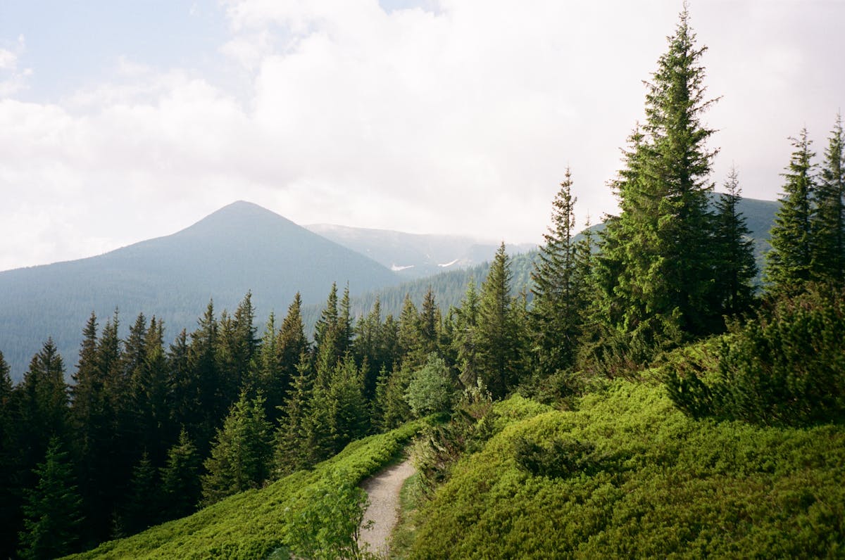 Mountain Landscape Photos, Download The BEST Free Mountain Landscape ...