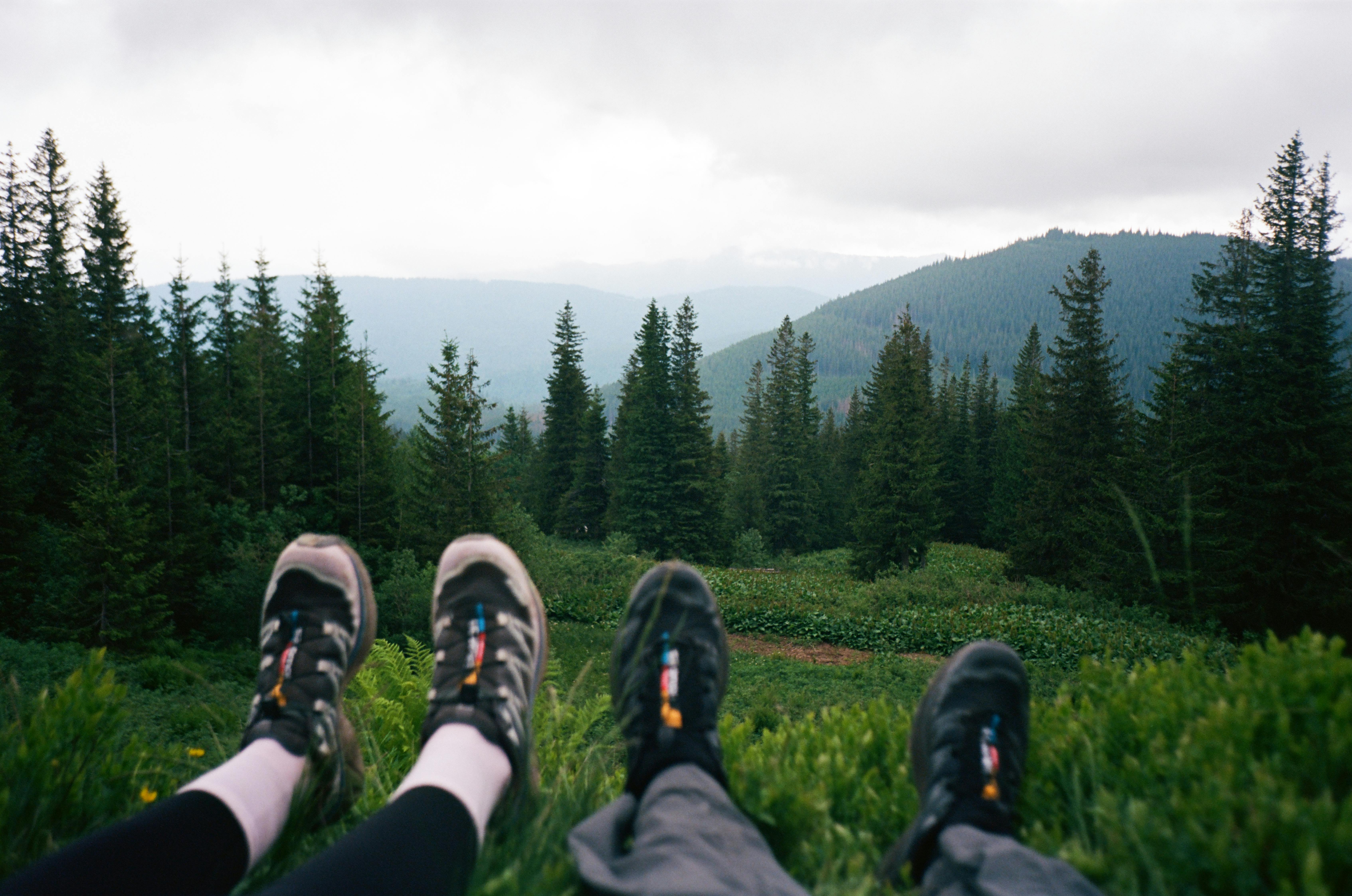 Opposite View Photos, Download The BEST Free Opposite View Stock Photos ...