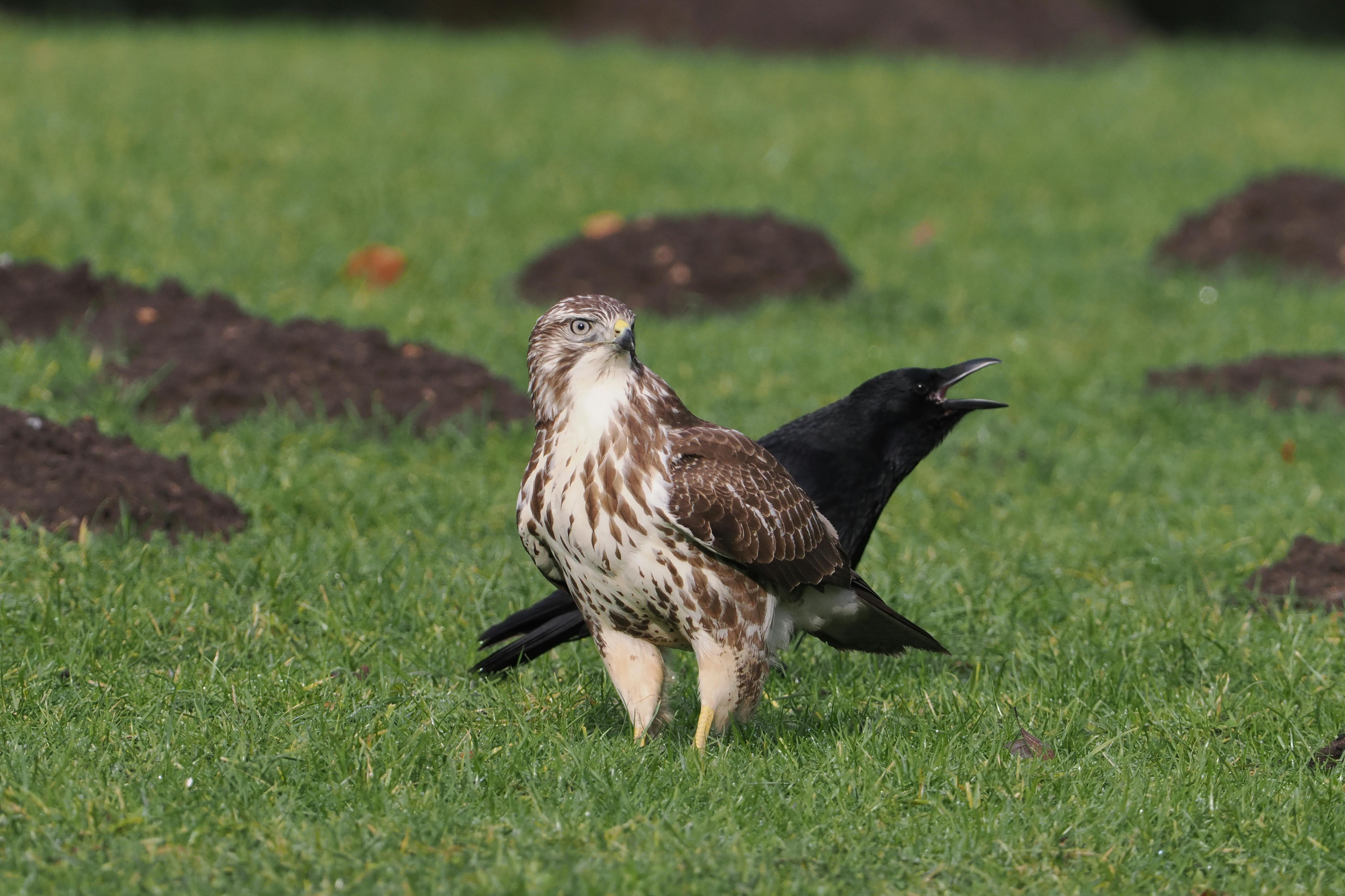 2,000+ 張最佳 Vbj+bjk+bjnk+bjk+bjk+b+bjnkjn++b+bjnkjnk+bjnkbjn214kbnk ...