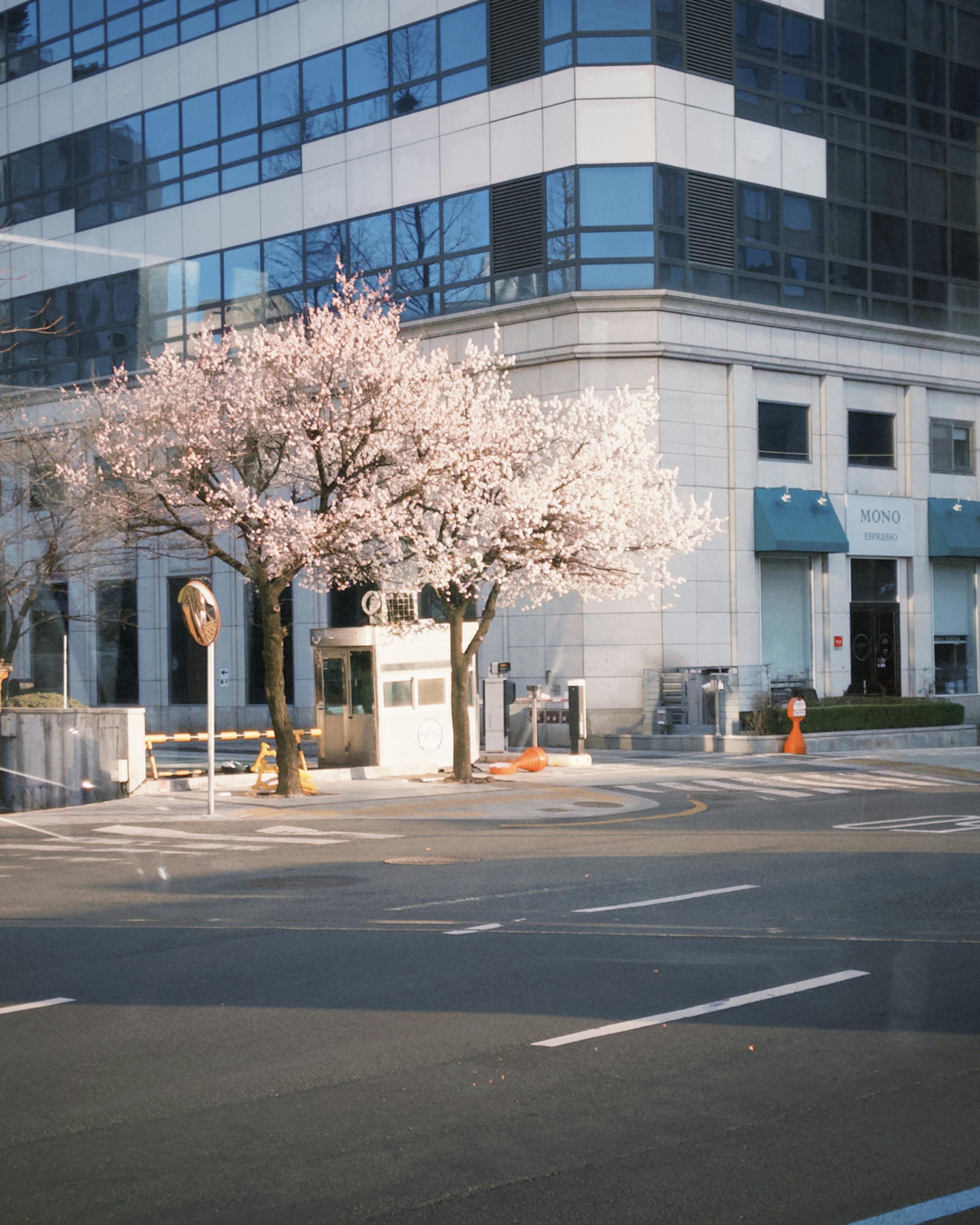 Springtime Outdoor Photos, Download The BEST Free Springtime Outdoor ...