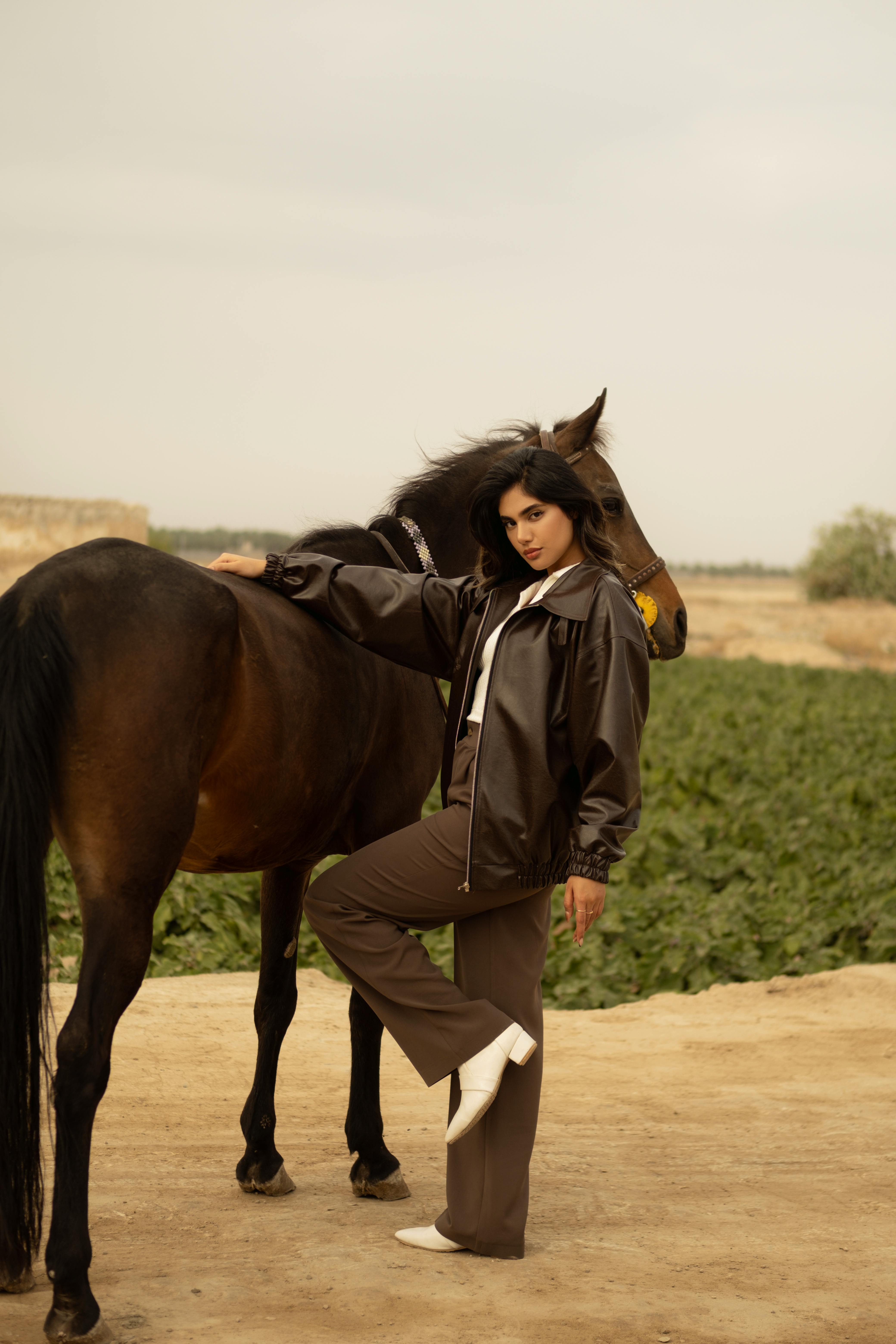 Bat Animal Model Sheet Photos, Download The BEST Free Bat Animal Model ...