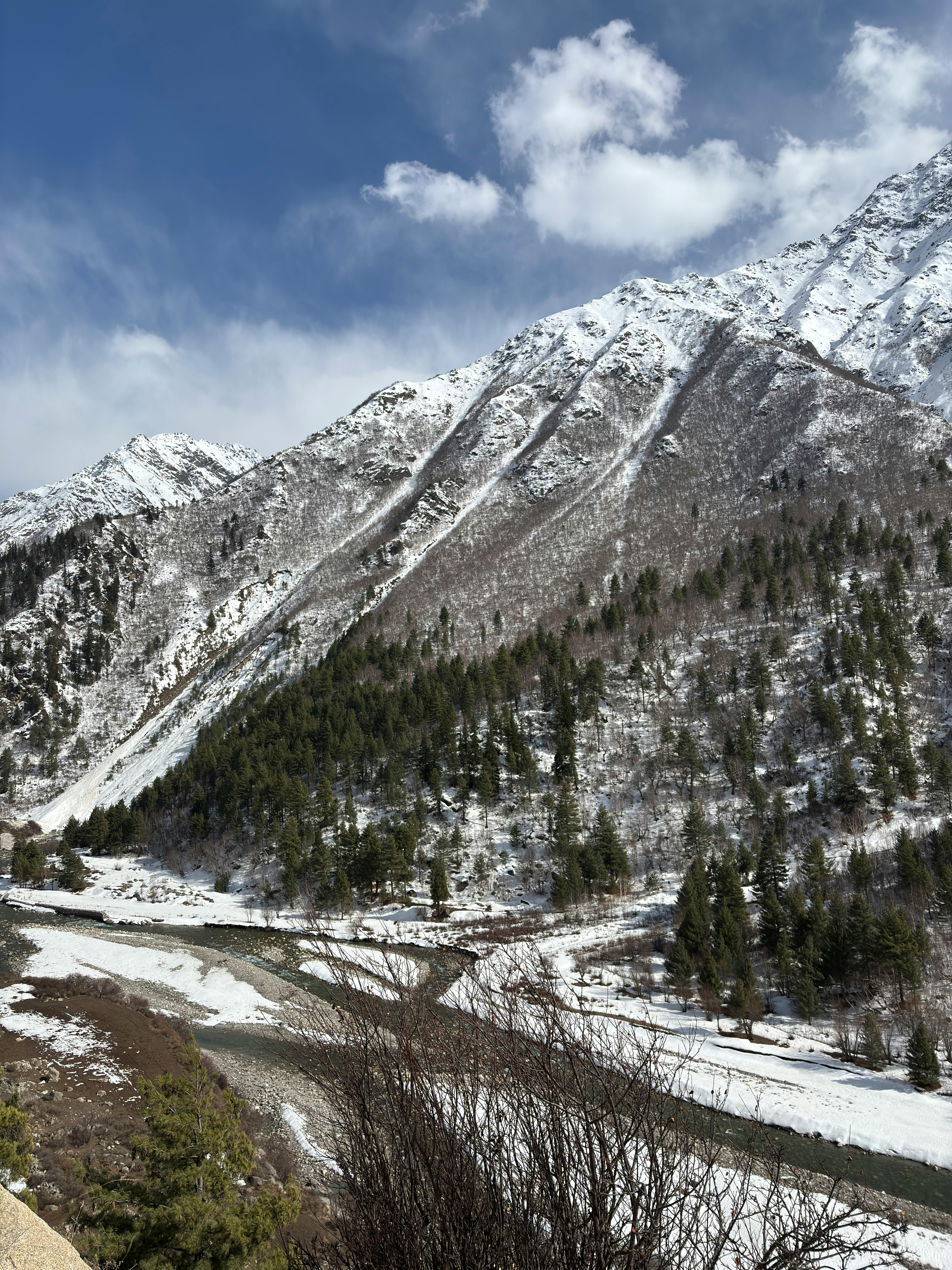 Bat Pictures Photos, Download The BEST Free Bat Pictures Stock Photos ...