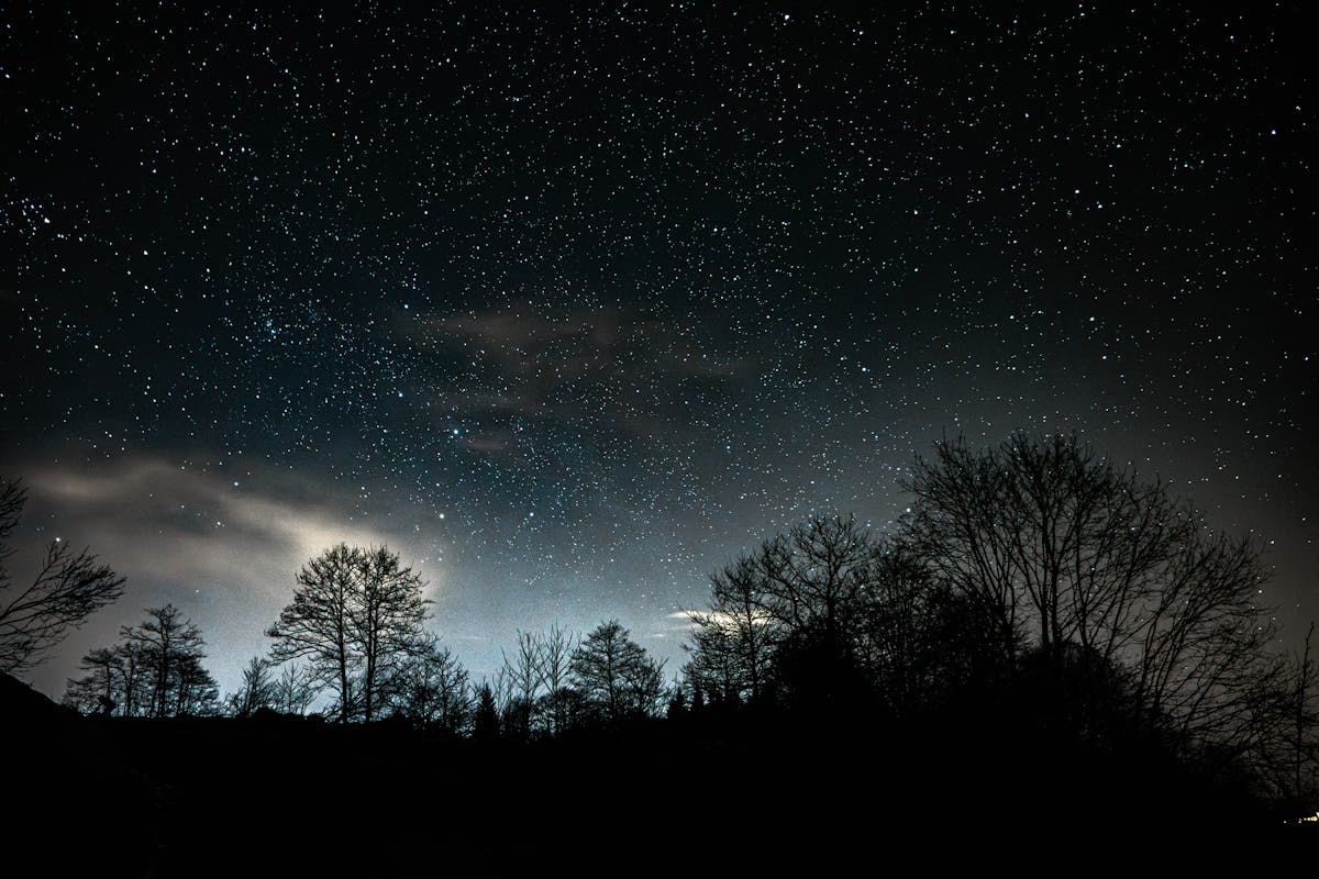 Midnight Photos, Download The BEST Free Midnight Stock Photos & HD Images