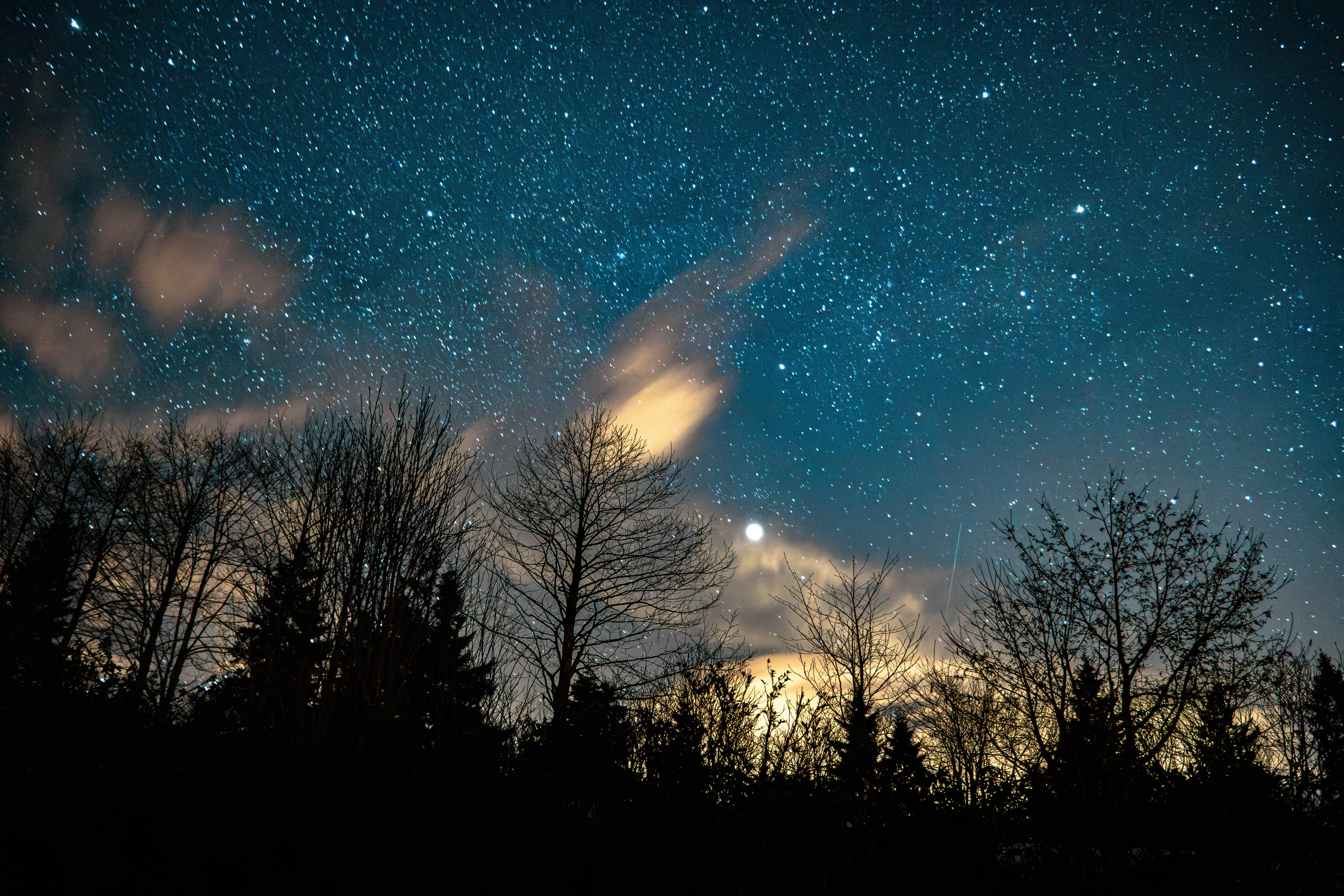 Night Wallpaper 4k Starry Sky Forest Silhouette Astronomy Nature