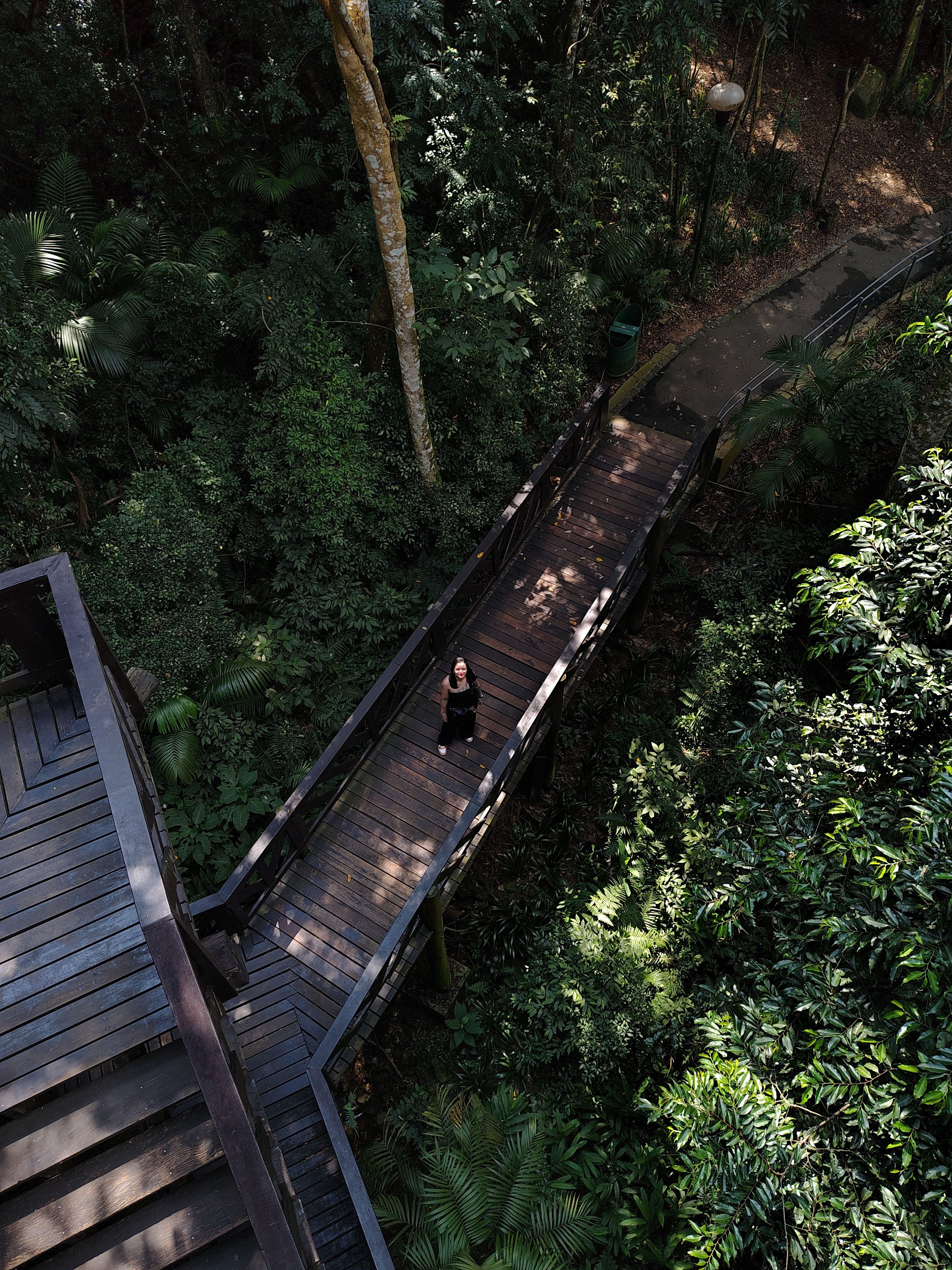 Aerial View of Forest Walkway in Curitiba · Free Stock Photo