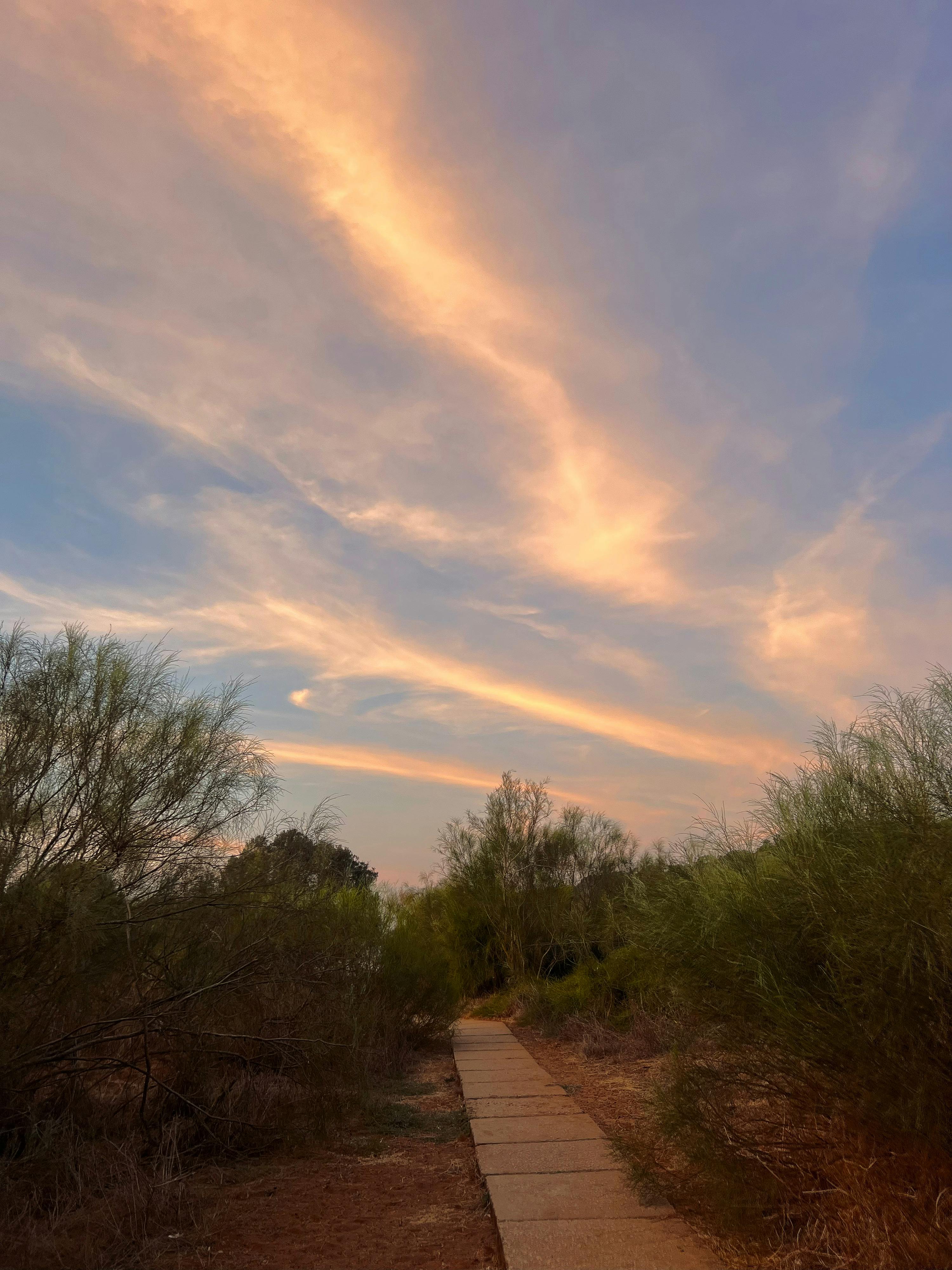 Serene Pathway at Sunset Through Wilderness · Free Stock Photo